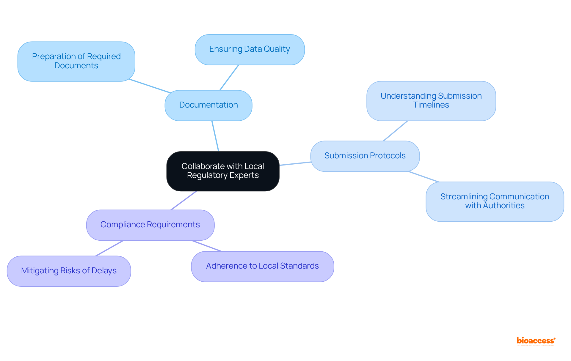 The center represents the main focus of collaboration, while the branches show key areas of expertise that help streamline the approval process. Each color-coded branch highlights different aspects that contribute to faster and more efficient regulatory navigation.