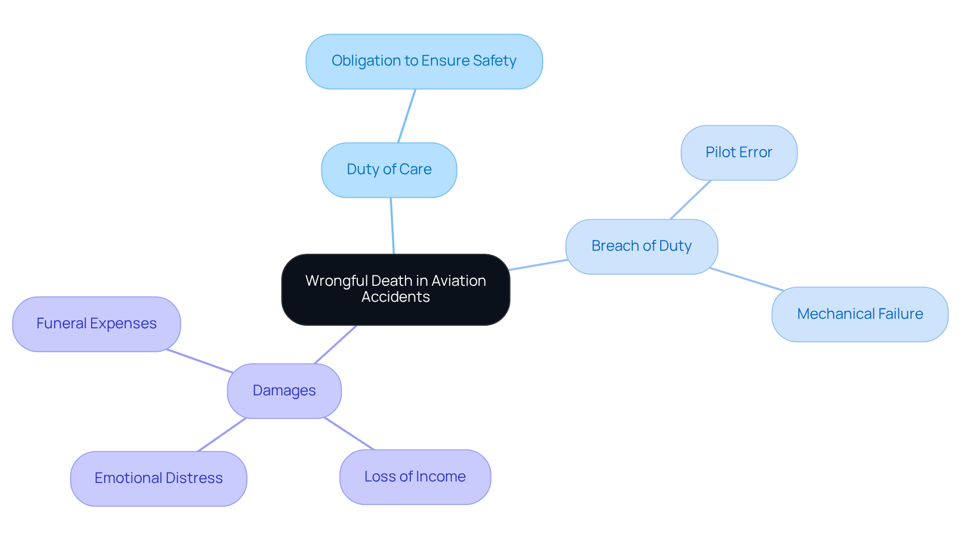 This mindmap illustrates the key components of wrongful death claims in aviation accidents. Start at the center with the main topic, then follow the branches to see how each element connects to the others, helping families understand their legal journey.