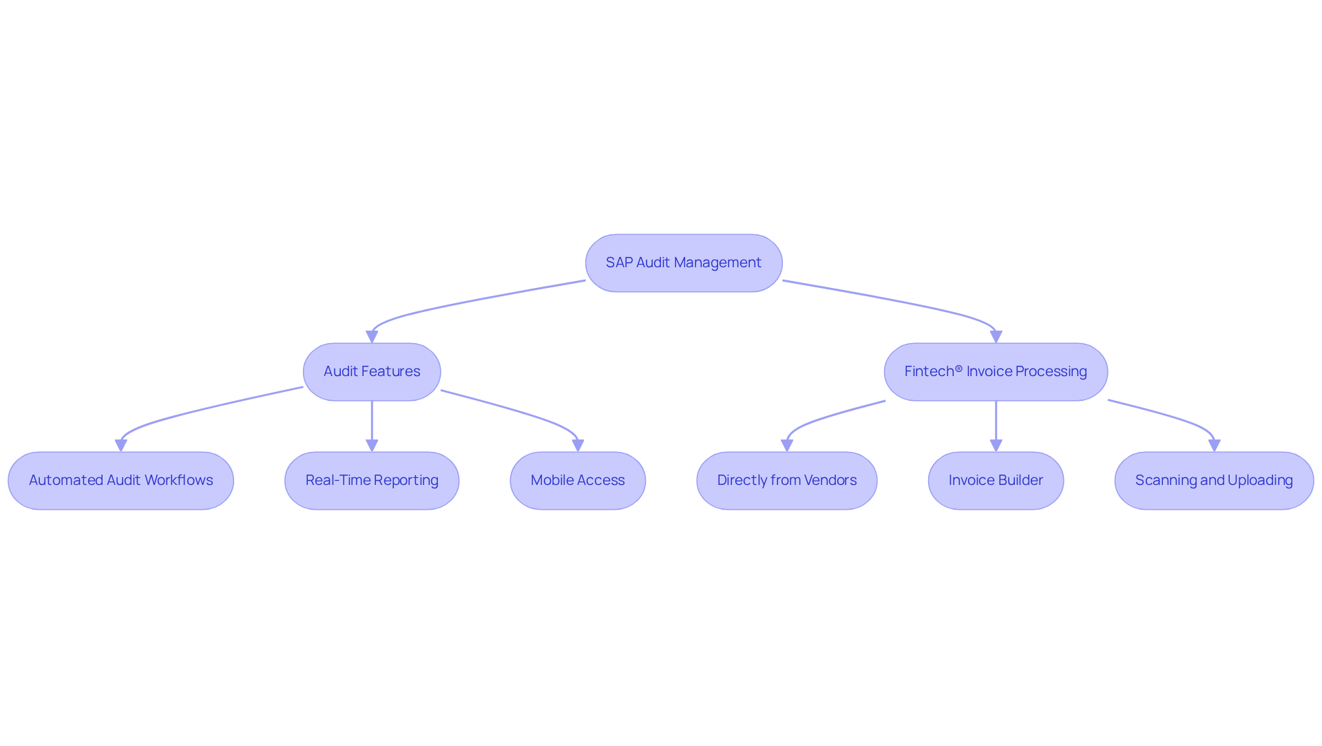 This flowchart illustrates how SAP Audit Management features and Fintech® invoice processing methods work together to enhance compliance and efficiency. Each box represents a key feature or method, and the arrows show how they connect to the overall goal of effective audit management.