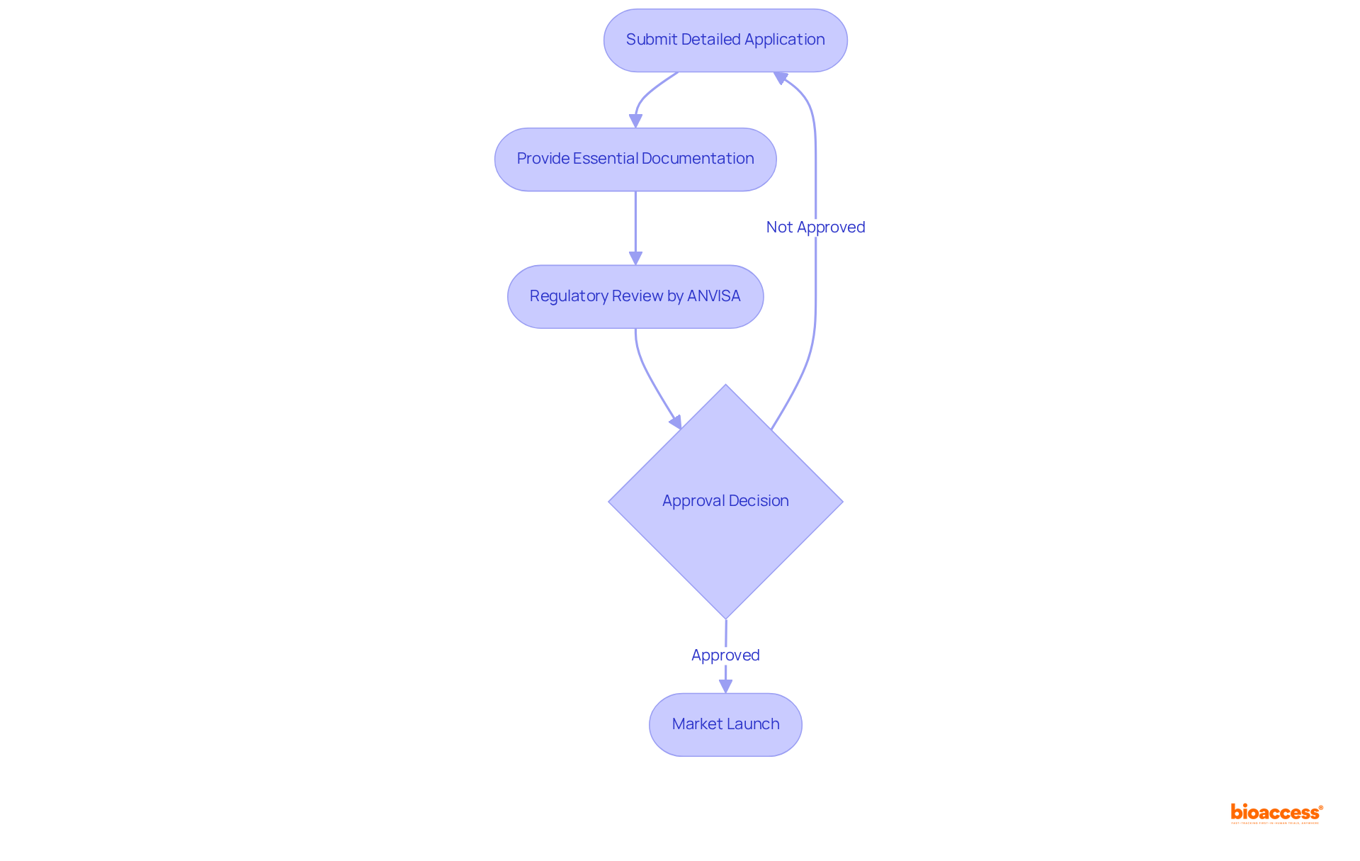 Follow the arrows to see the journey from application submission to market launch. Each box represents a crucial step in the process, and the colors help distinguish between different phases.