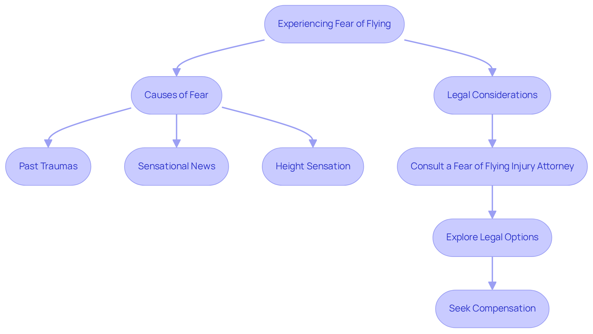 This flowchart illustrates the journey from experiencing fear of flying to exploring legal options. Each step shows what someone might consider or do next, helping to visualize the process of seeking support and understanding legal implications. This flowchart illustrates the journey from experiencing fear of flying to exploring legal options. Each step shows what someone might consider or do next, helping to visualize the process of seeking support and understanding legal implications.
