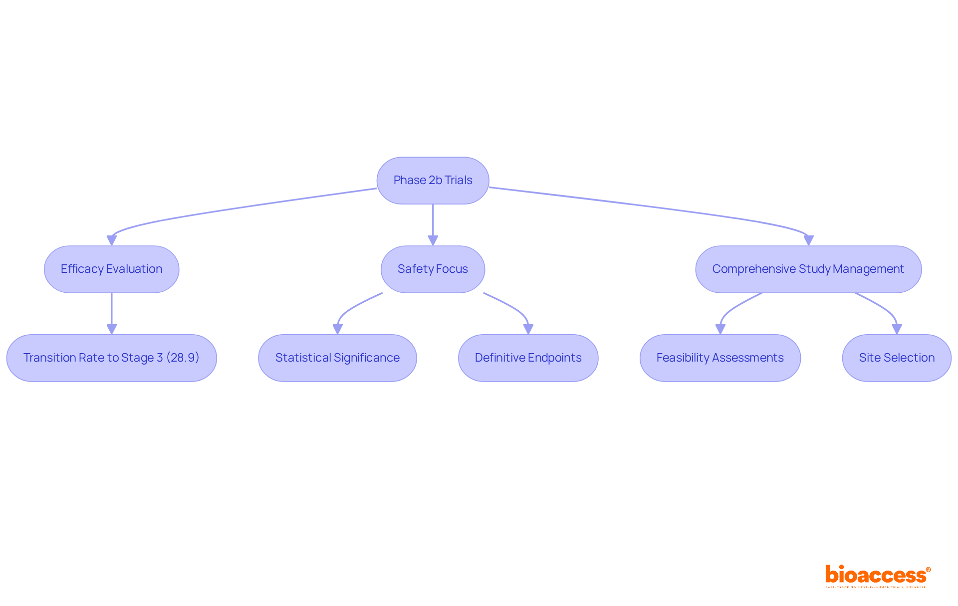 This flowchart shows how Phase 2b trials lead to Stage 3 studies, emphasizing the evaluation of efficacy and safety. Each box represents a key aspect of the trial process — follow the arrows to see how they connect.