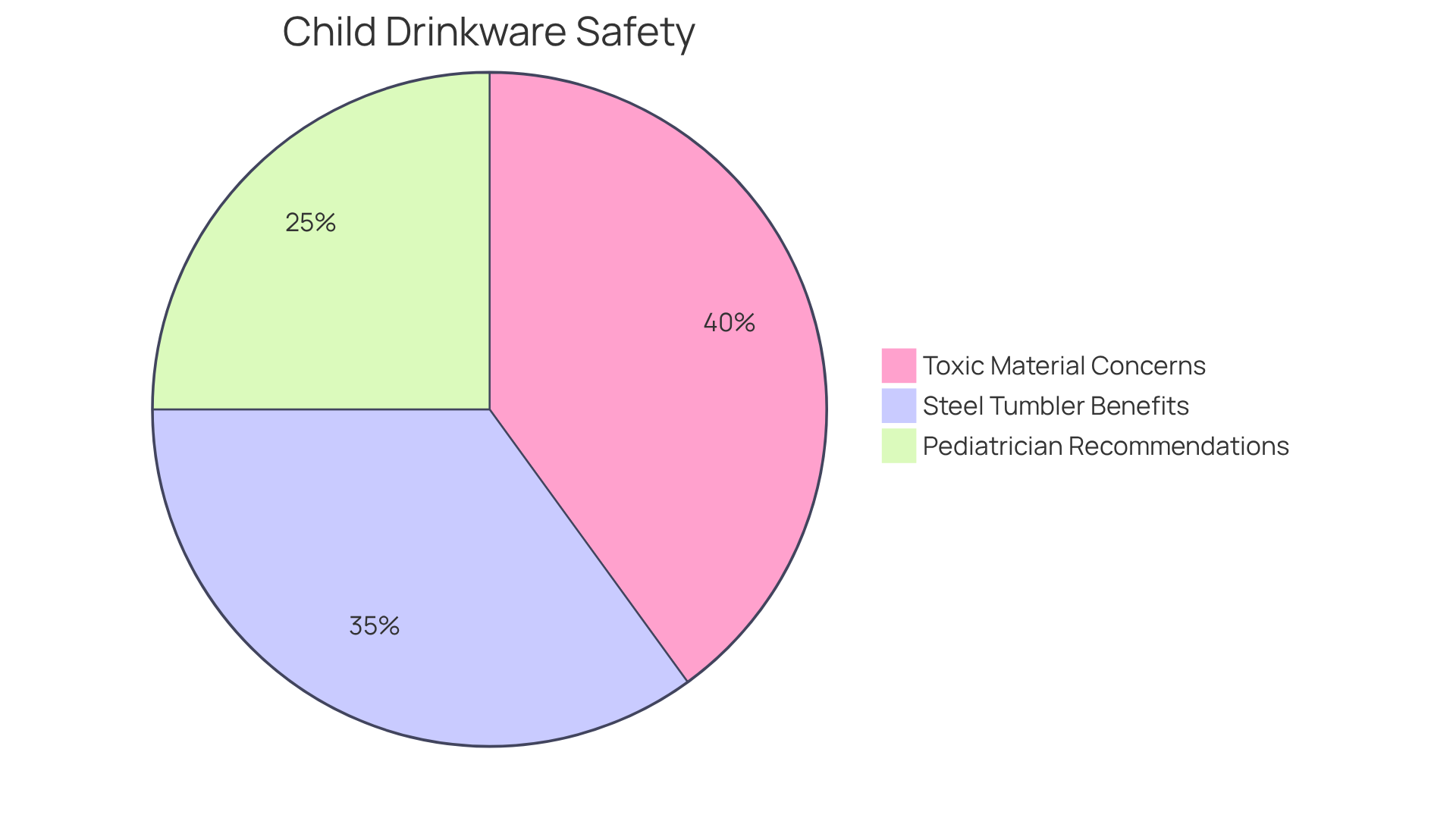 Each segment of the pie chart shows a different aspect of safety: the red part highlights concerns about toxic materials, the green part shows the benefits of using steel tumblers, and the blue part represents the recommendations from pediatricians. The bigger the segment, the more significant that aspect is.