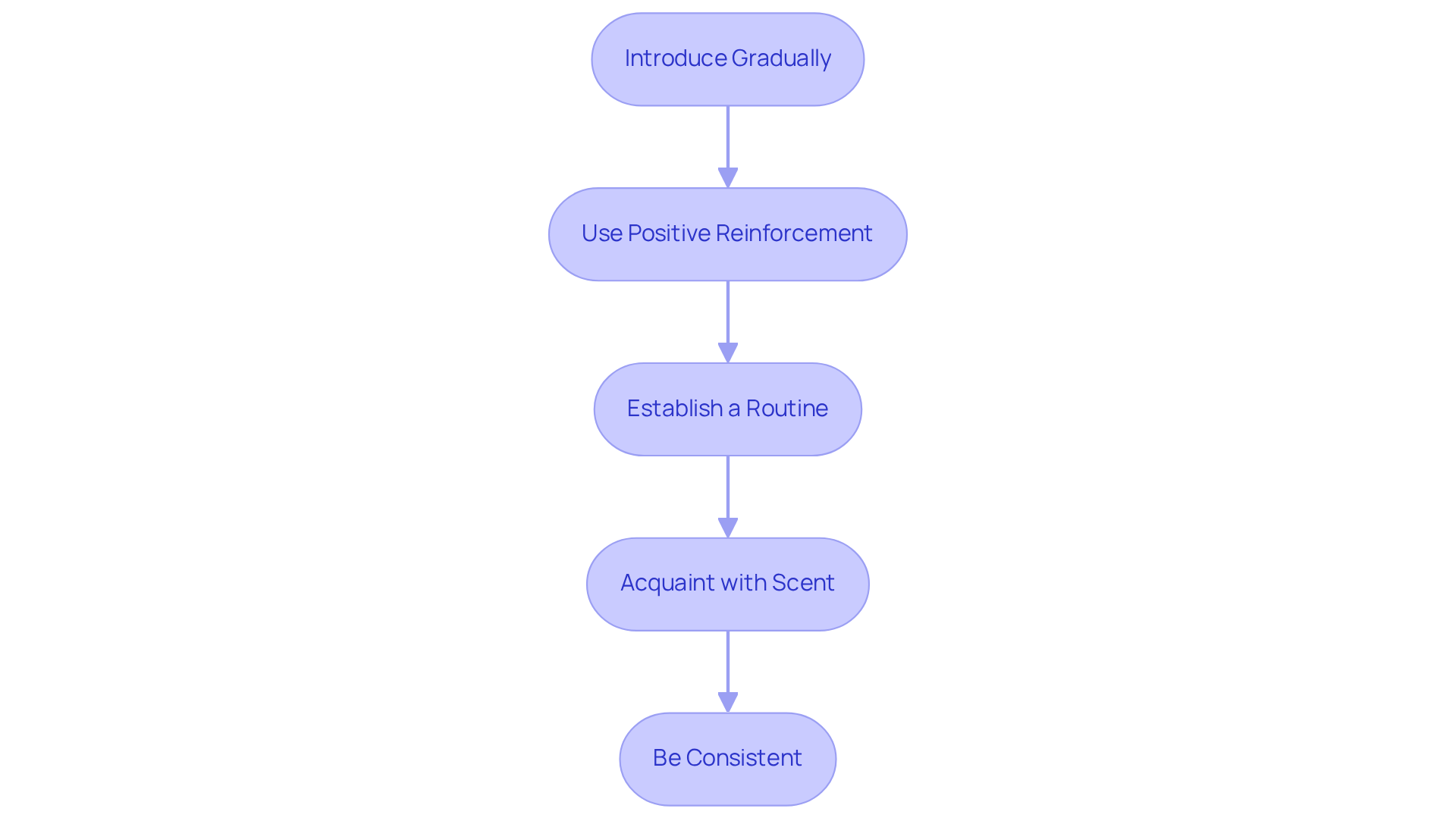 Each box represents a step in the training process. Follow the arrows to see how to guide your dog from introduction to consistency in using the artificial turf.