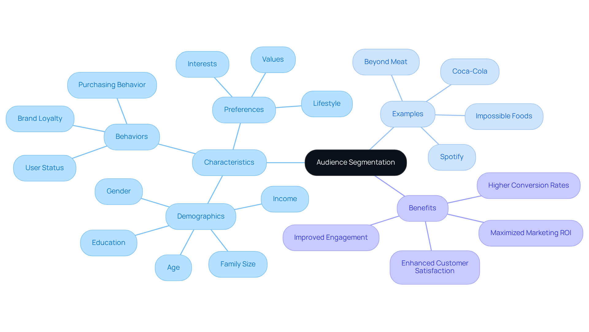 Start at the center with the main idea of audience segmentation, then explore the branches to see the characteristics, real-world examples, and benefits of this strategic approach.