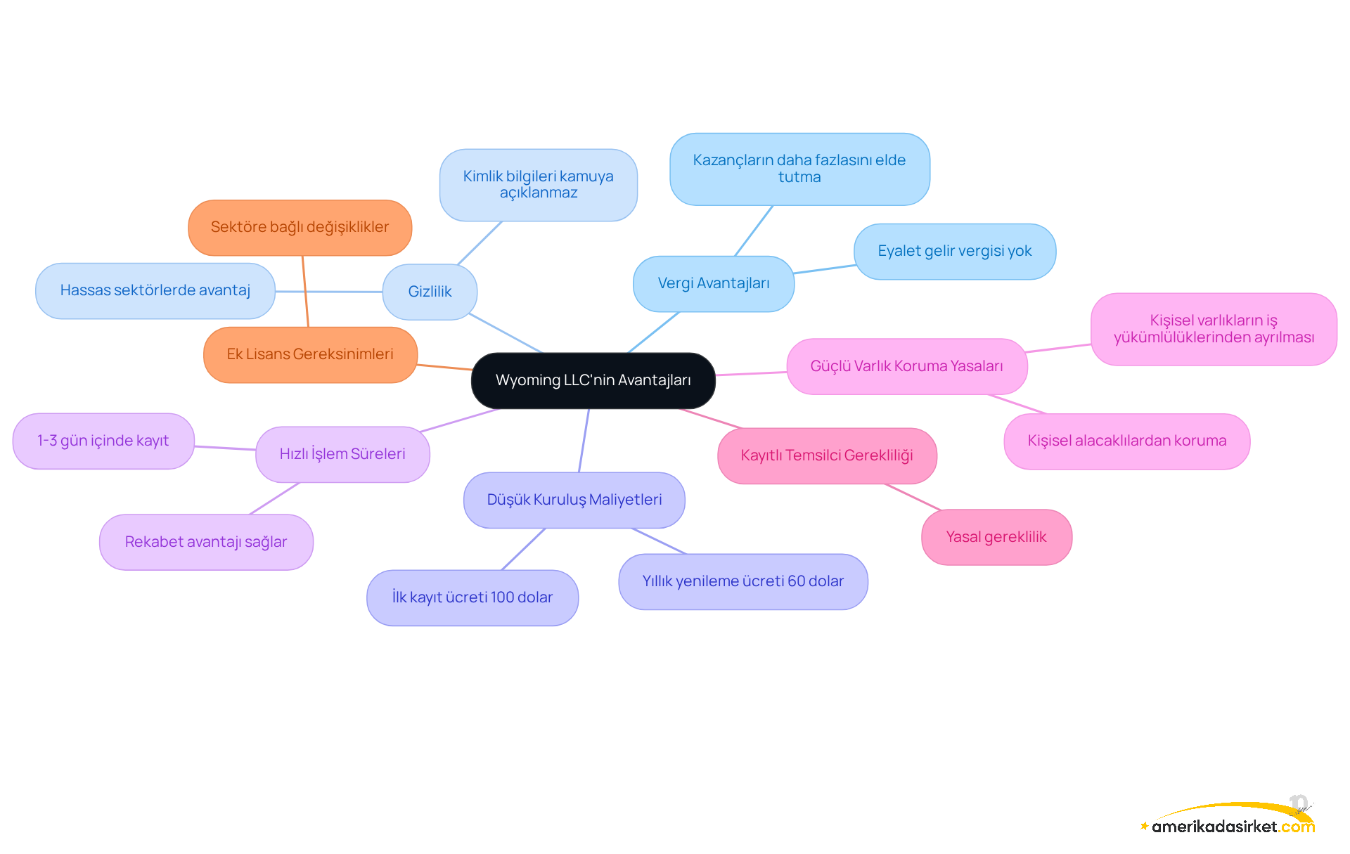 Merkezdeki başlık, Wyoming'de bir LLC kurmanın avantajlarını temsil ediyor. Dallar, her bir avantajı gösteriyor ve alt açıklamalar, bu avantajların ne anlama geldiğini açıklıyor. Renkler, her avantajın kolayca ayırt edilmesini sağlıyor.