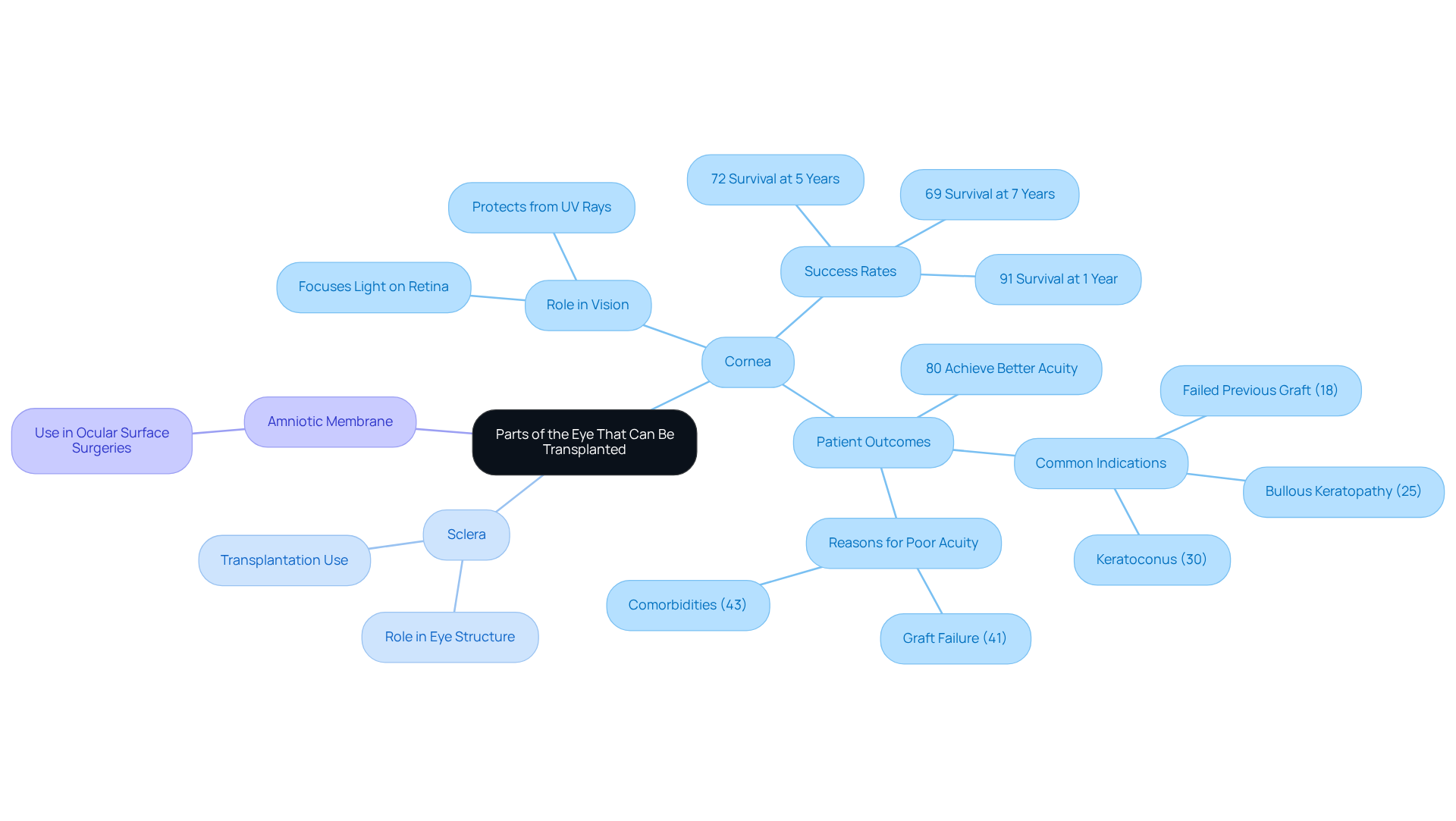The central node represents the main topic, while branches show different parts of the eye that can be transplanted. Each sub-branch provides additional details, making it easy to understand how these components relate to eye health and surgery.