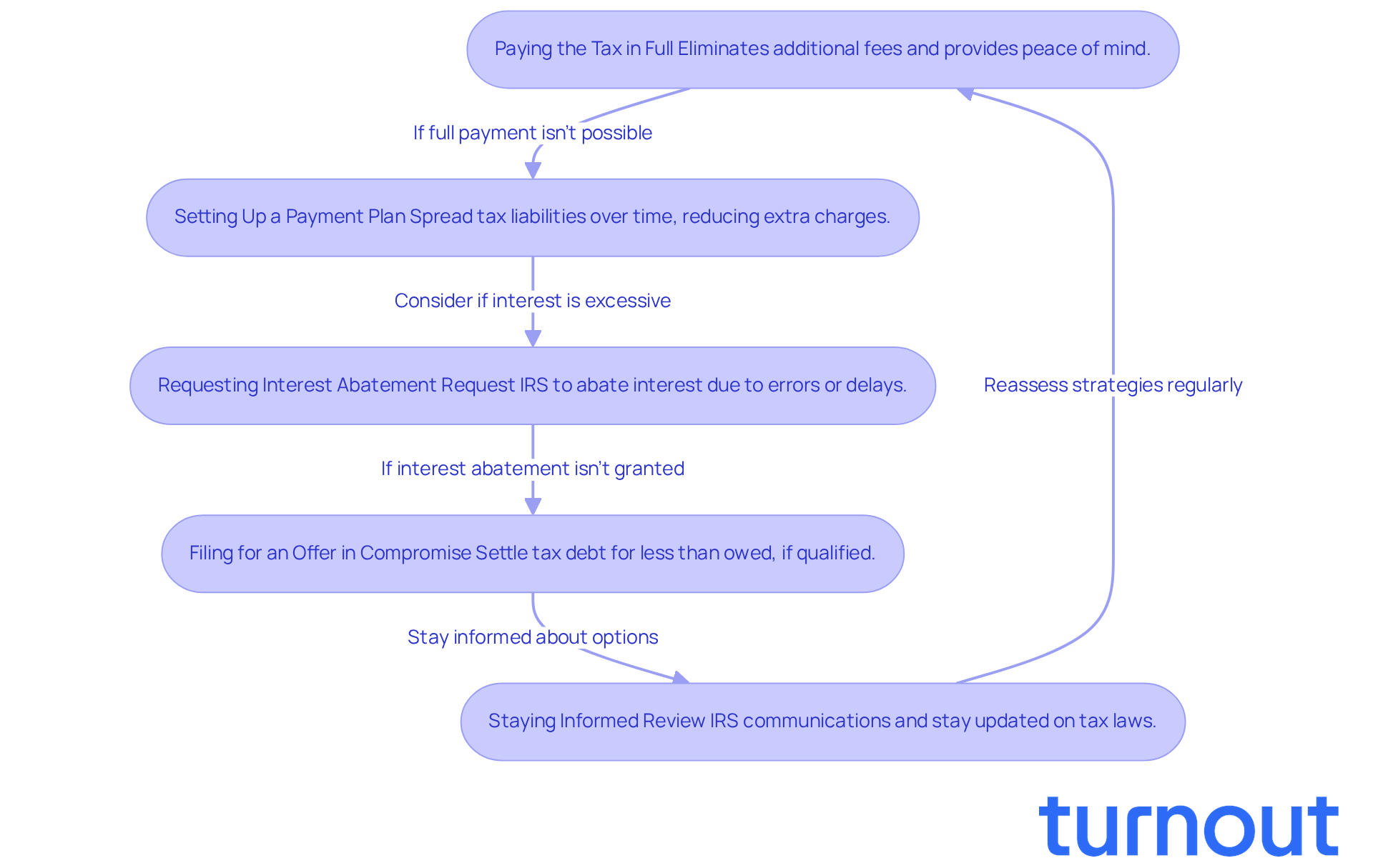 Each box represents a strategy you can use to manage tax interest. Follow the arrows to see the options available to you, and read the descriptions to understand how each strategy works.