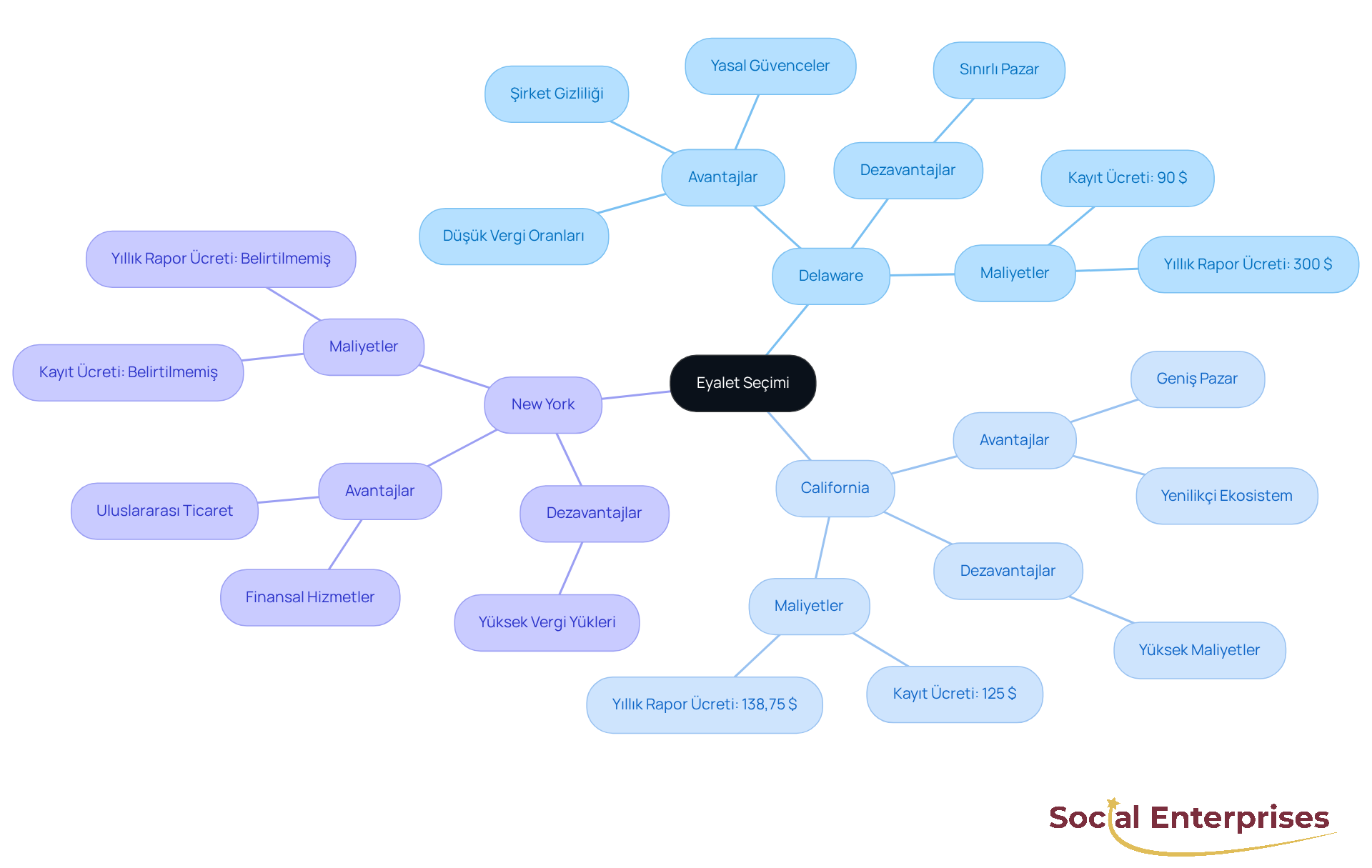 Merkezdeki 'Eyalet Seçimi', hangi eyalette LLC kuracağınıza dair seçenekleri gösteriyor. Her dal, belirli bir eyaletin avantajlarını ve dezavantajlarını sunuyor. Dalları inceleyerek hangi eyaletin sizin için en uygun olduğuna karar verebilirsiniz.