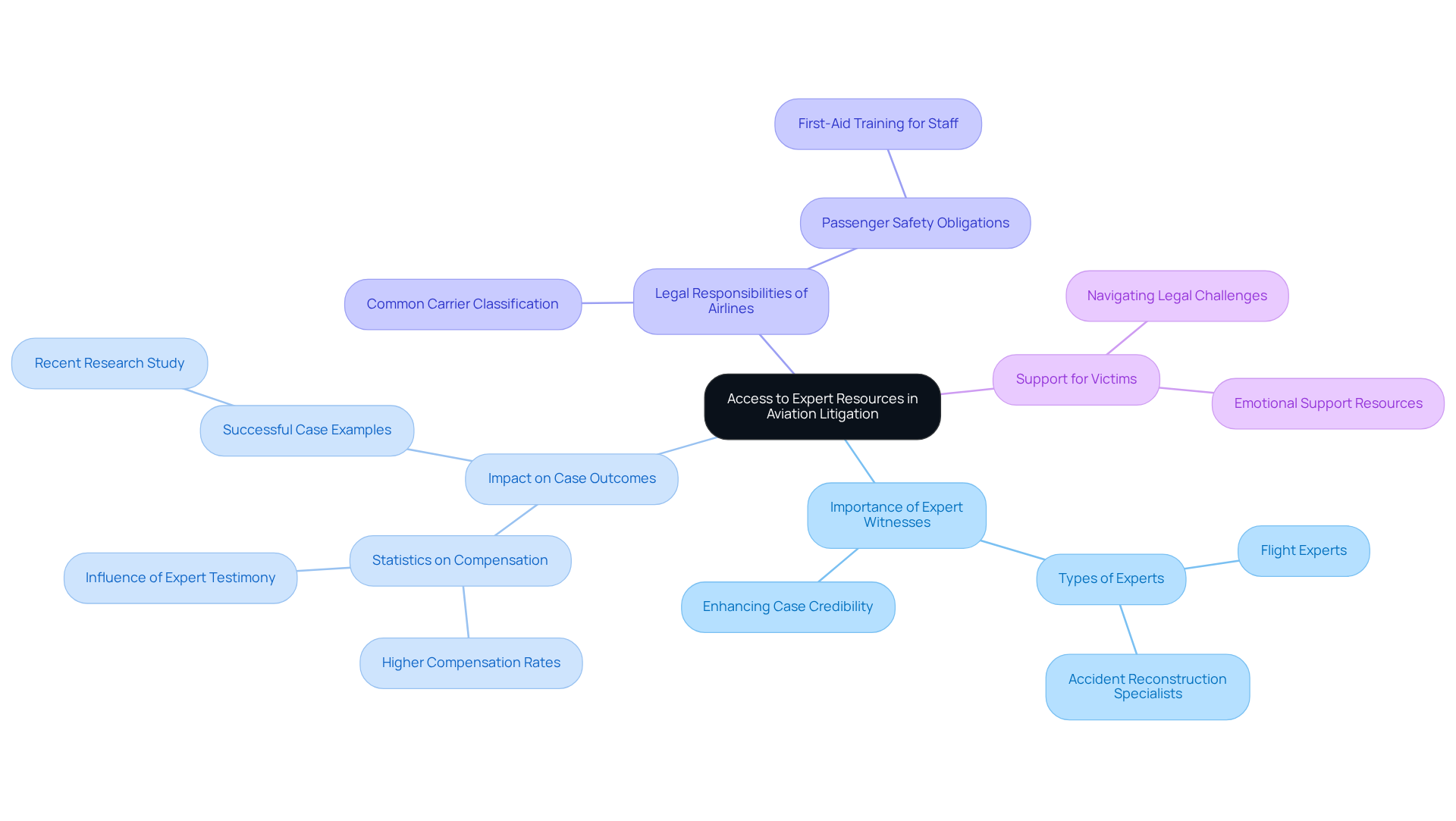 Start at the center with the main theme, then follow the branches to explore how expert resources influence litigation, the responsibilities of airlines, and the support available for victims.