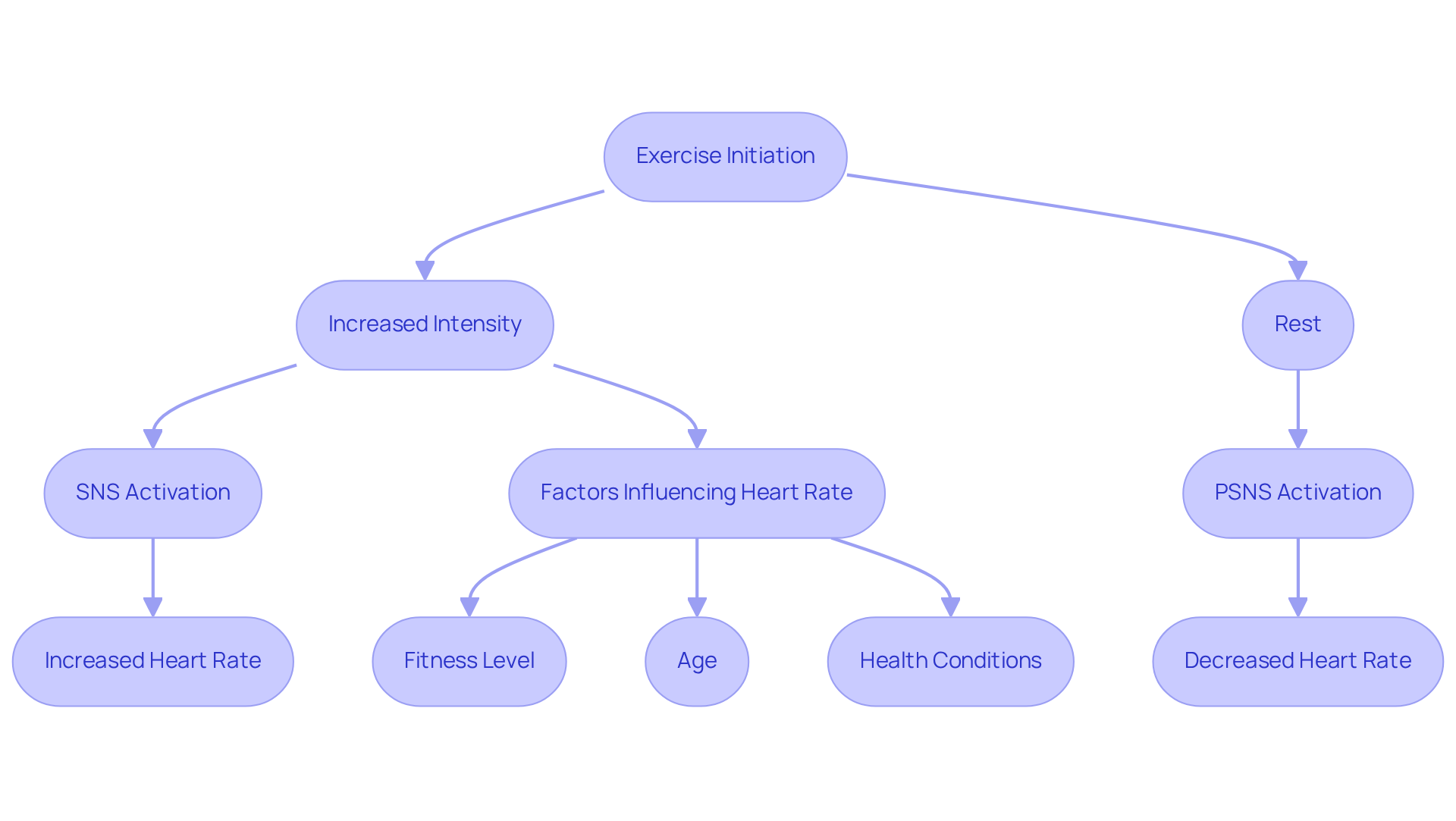 This flowchart shows how your heart rate changes during exercise. When you start exercising, your body activates different systems to adjust your heart rate based on how hard you're working. The arrows guide you through the process, showing how intensity affects your pulse. This flowchart shows how your heart rate changes during exercise. When you start exercising, your body activates different systems to adjust your heart rate based on how hard you're working. The arrows guide you through the process, showing how intensity affects your pulse.