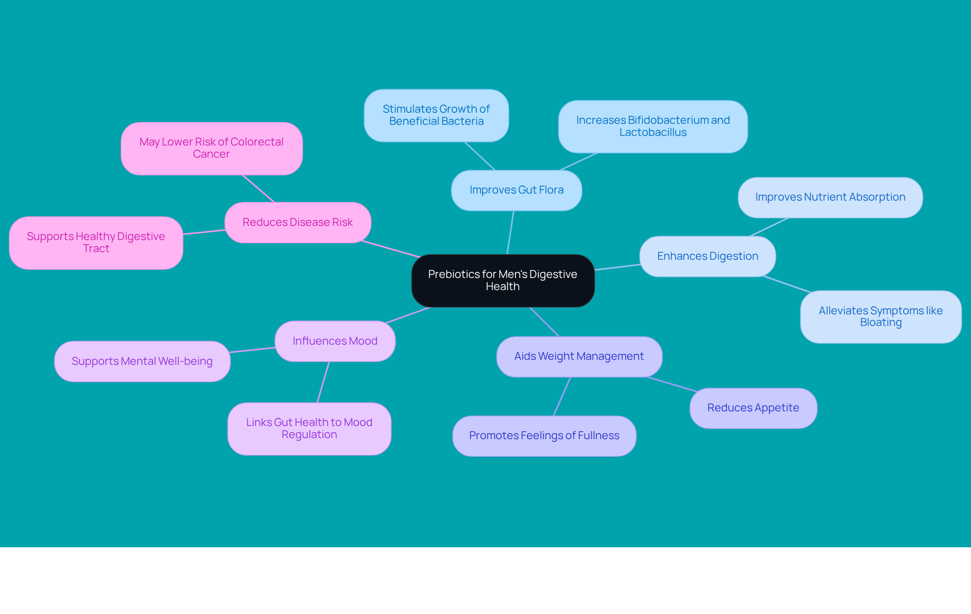 The central node represents prebiotics, and each branch shows a different benefit. Follow the branches to explore how prebiotics can improve various aspects of digestive health and overall well-being. The central node represents prebiotics, and each branch shows a different benefit. Follow the branches to explore how prebiotics can improve various aspects of digestive health and overall well-being.