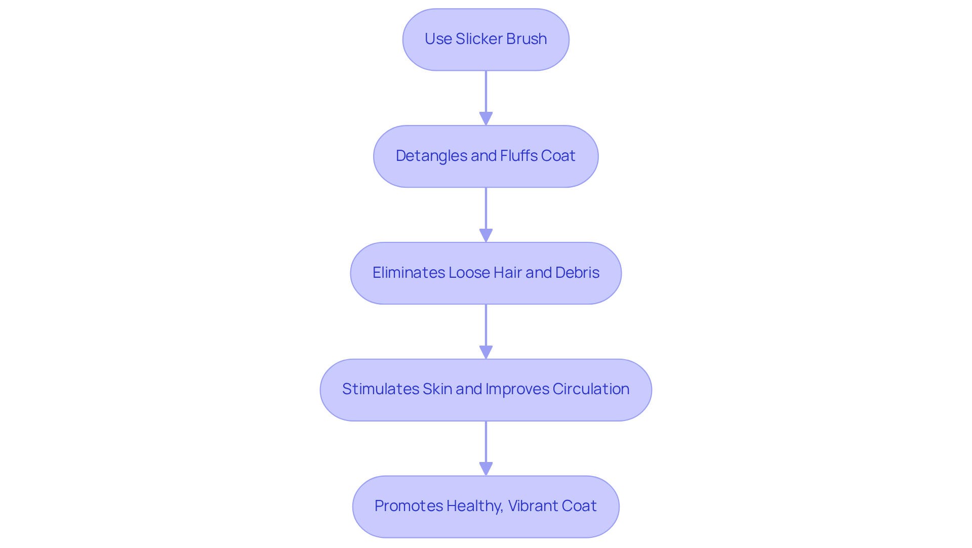Each box represents a step in the grooming process — from using the slicker brush to achieving a healthy coat. Follow the arrows to see how one benefit leads to another.