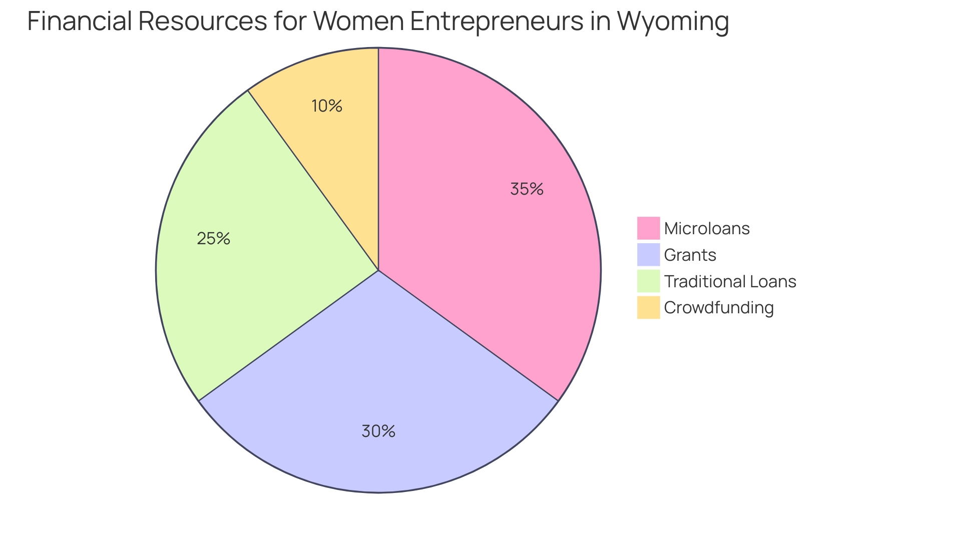 Each slice represents a different financial resource available for women entrepreneurs, with sizes indicating their relative importance in supporting business ventures.