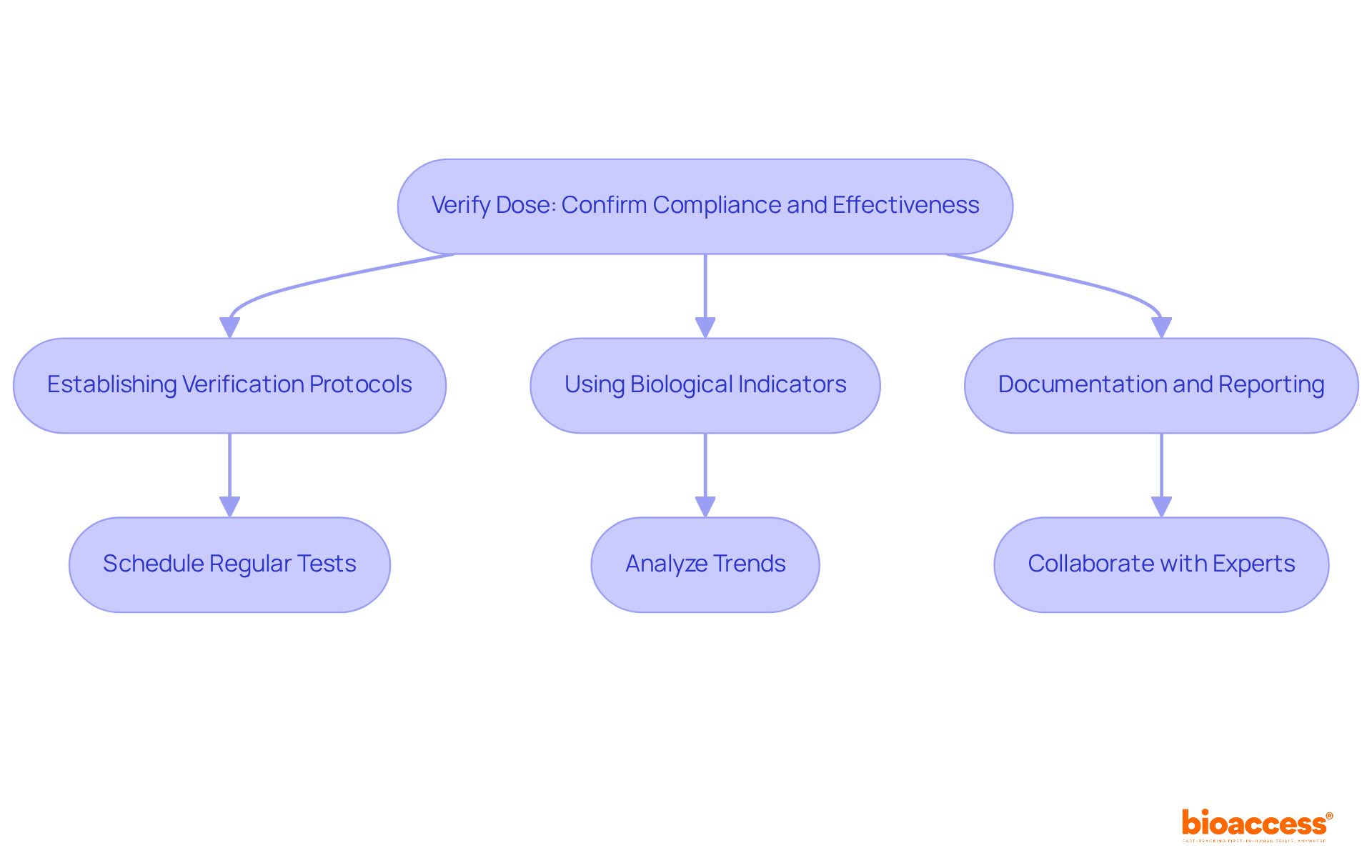 Follow the arrows to see how each step in the verification process connects. Each box represents a key component, and the tips below each step provide practical advice for implementation.