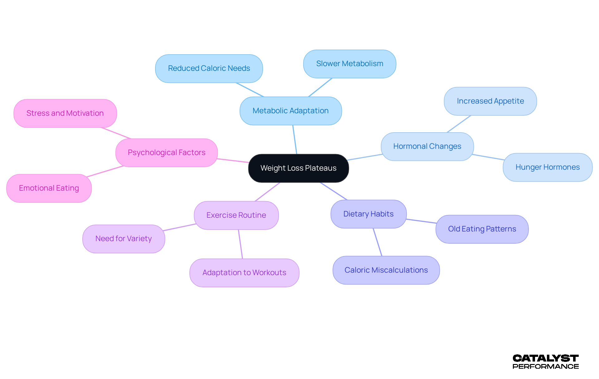 The central node represents the main topic of weight loss plateaus, while the branches show the key reasons behind these plateaus. Each color-coded branch helps you quickly identify different factors that can affect your weight loss journey. The central node represents the main topic of weight loss plateaus, while the branches show the key reasons behind these plateaus. Each color-coded branch helps you quickly identify different factors that can affect your weight loss journey.
