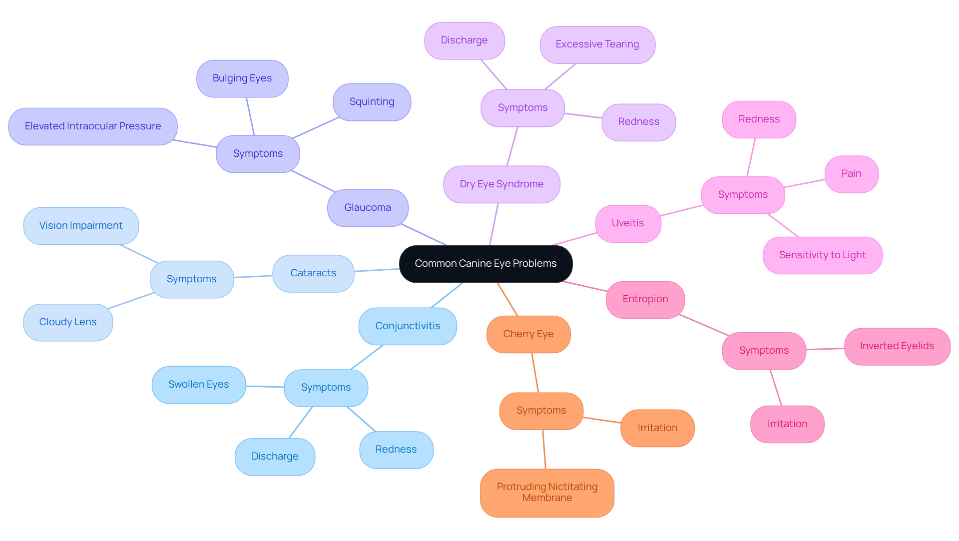 This mindmap illustrates various eye problems that can affect dogs, along with common symptoms associated with each condition. Each branch represents a specific issue, and the sub-branches show the signs to watch for, helping pet owners identify potential health concerns.