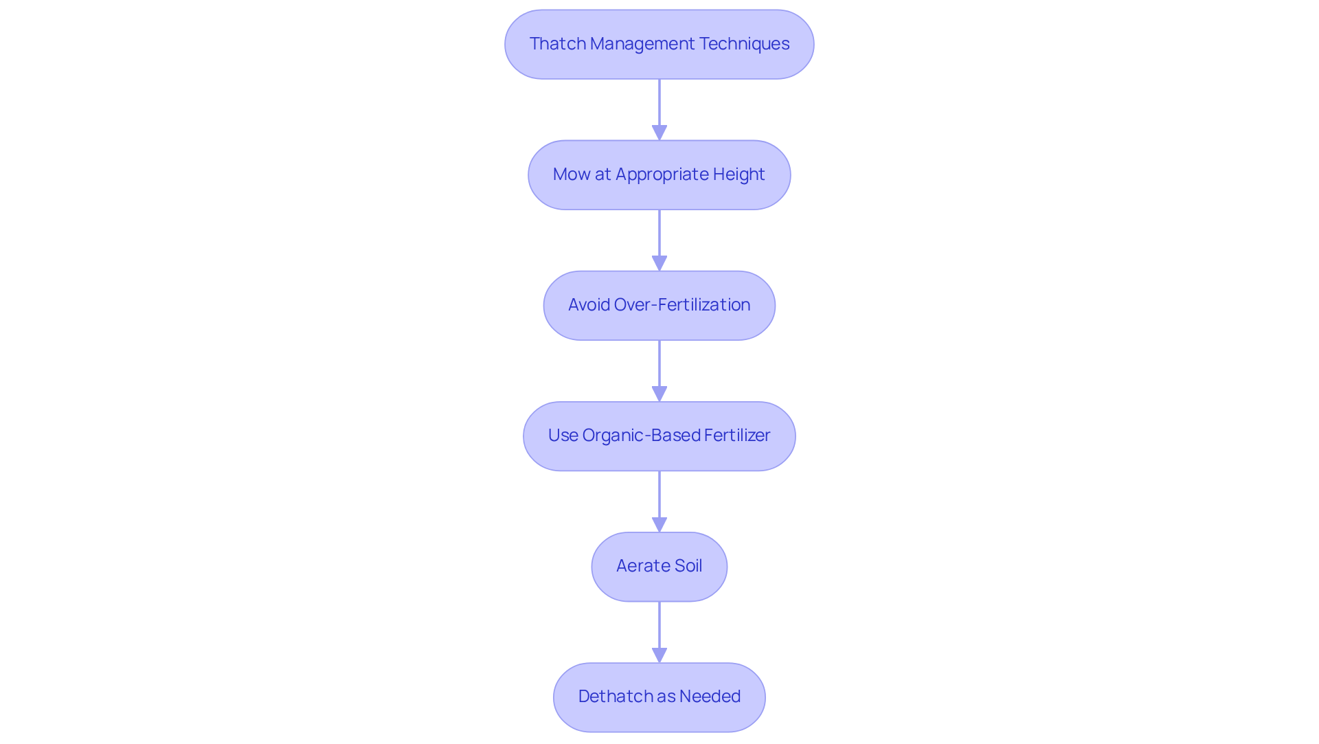 Follow the arrows to see the steps for managing thatch in your lawn. Each box represents an important action to keep your grass healthy and thriving.