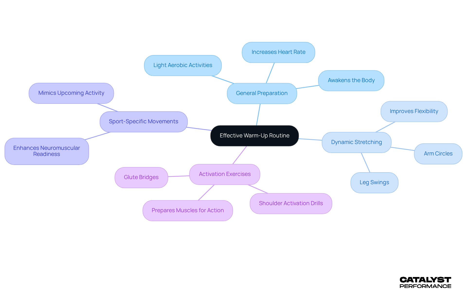 Start at the center with the main idea of warming up, then follow the branches to explore each essential element and how they contribute to your fitness journey. Start at the center with the main idea of warming up, then follow the branches to explore each essential element and how they contribute to your fitness journey.