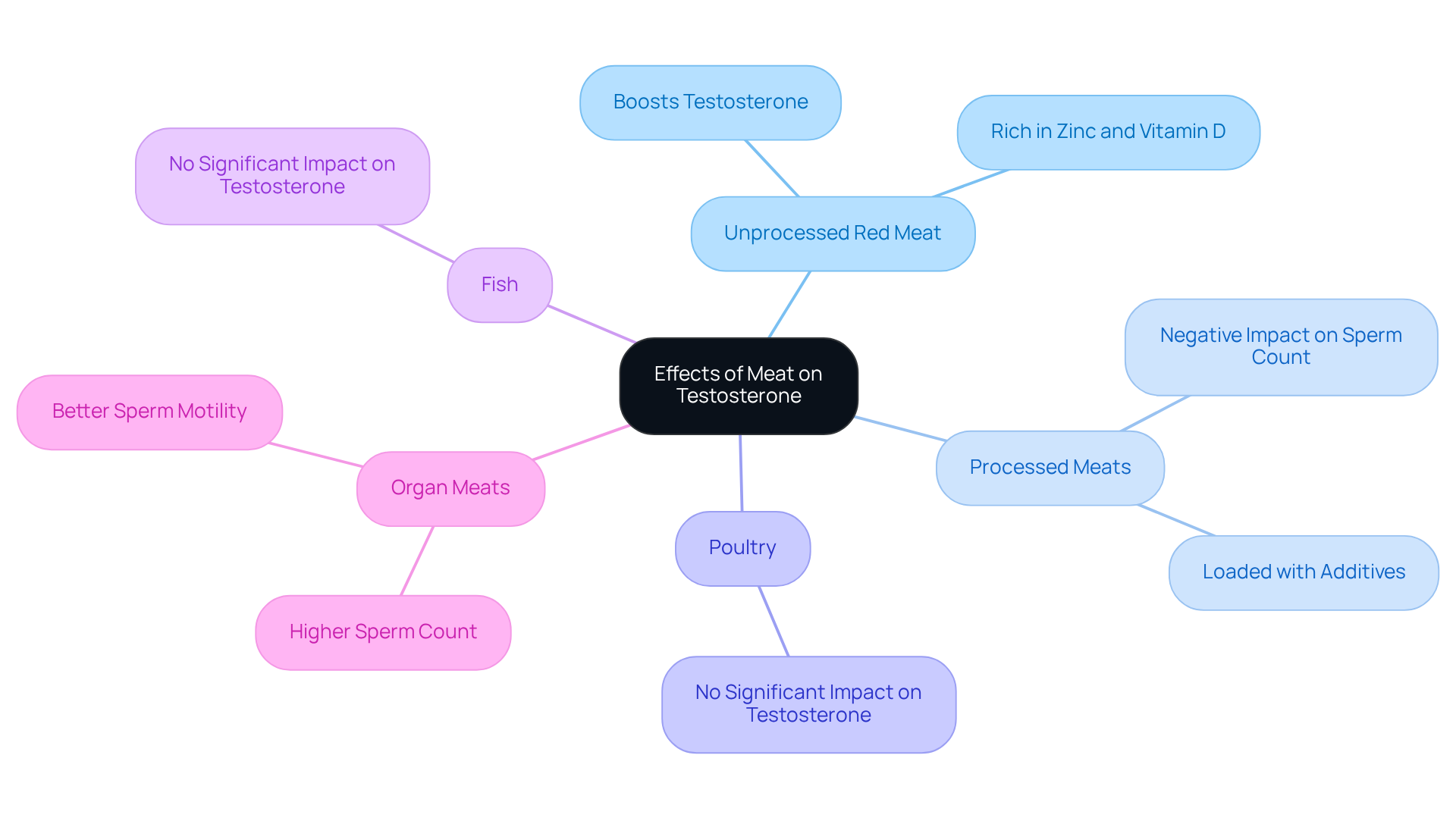 The central node represents the overall topic, while each branch shows a type of meat. The sub-branches explain how each type affects testosterone, helping you understand which meats to prioritize for hormonal health.