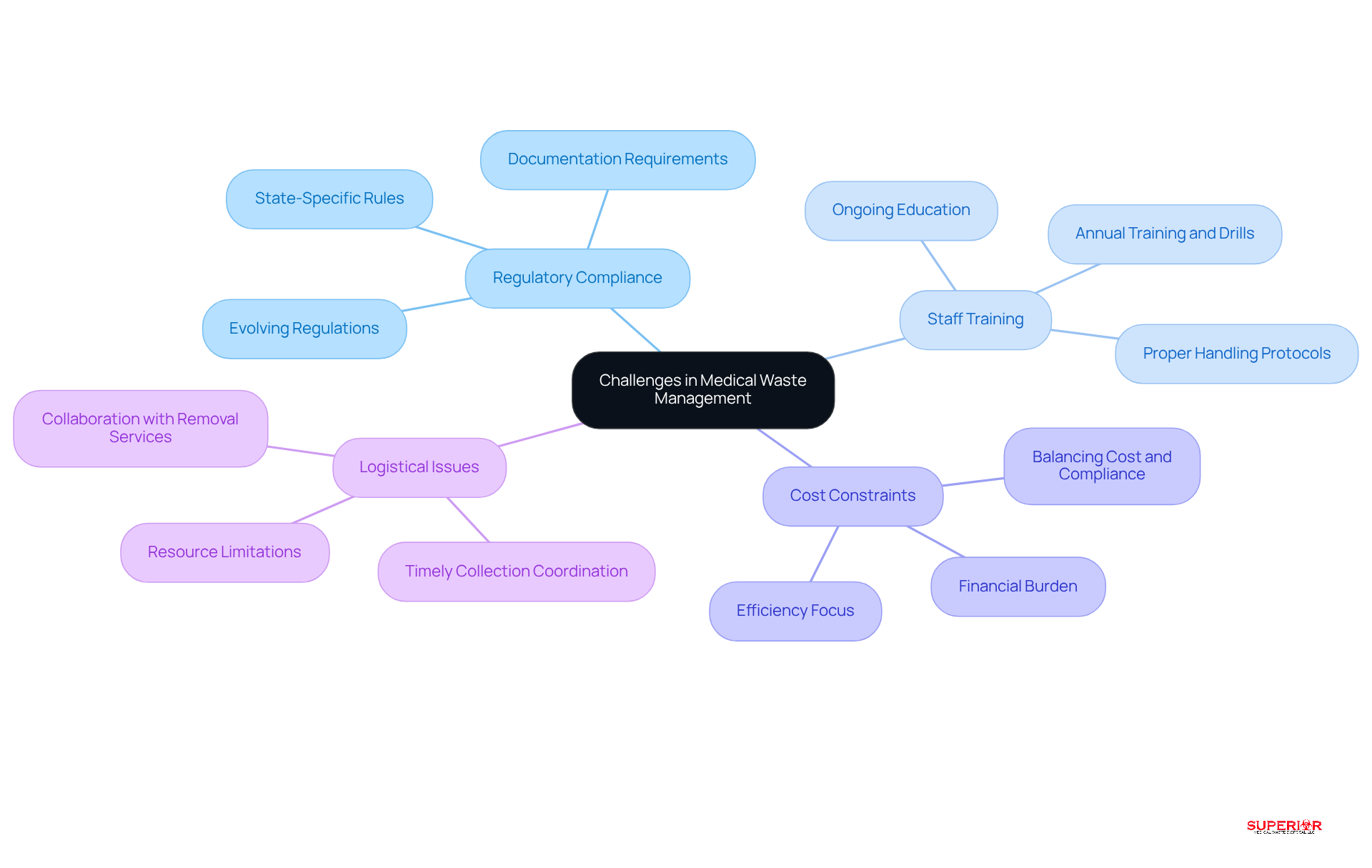 The center represents the main topic, while the branches show the key challenges healthcare facilities face. Each sub-branch provides more detail about each challenge, helping you understand the complexities involved. The center represents the main topic, while the branches show the key challenges healthcare facilities face. Each sub-branch provides more detail about each challenge, helping you understand the complexities involved.