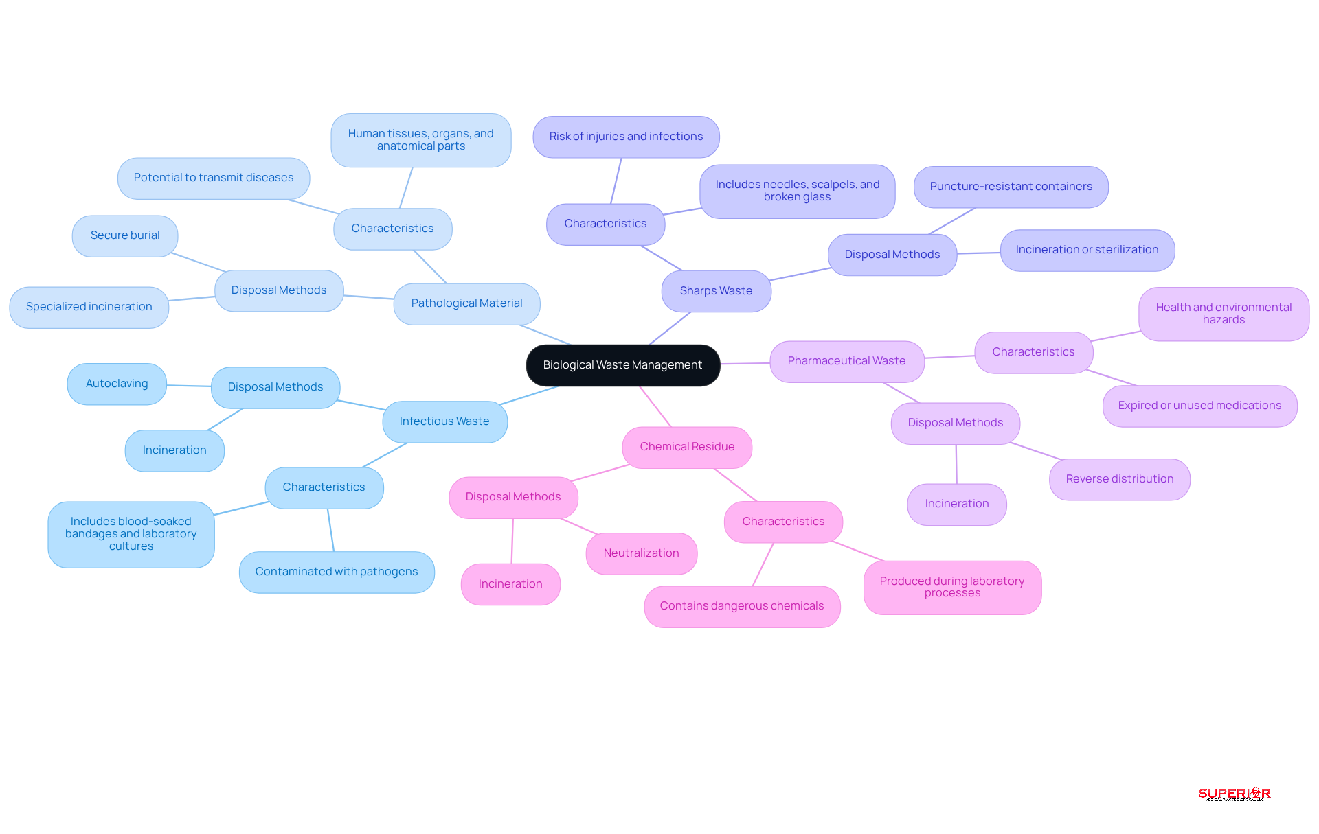 The central node represents the overall topic of biological waste management. Each branch shows a specific type of waste, and the sub-branches provide details on their characteristics and disposal methods. This layout helps you see how different types of waste are categorized and managed in healthcare.