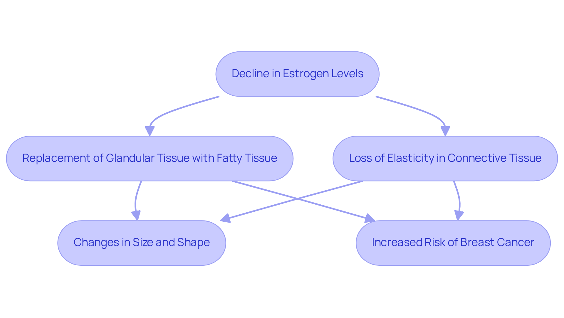 This flowchart shows how declining estrogen levels lead to changes in breast tissue and shape, as well as potential health risks. Follow the arrows to understand the sequence of changes.