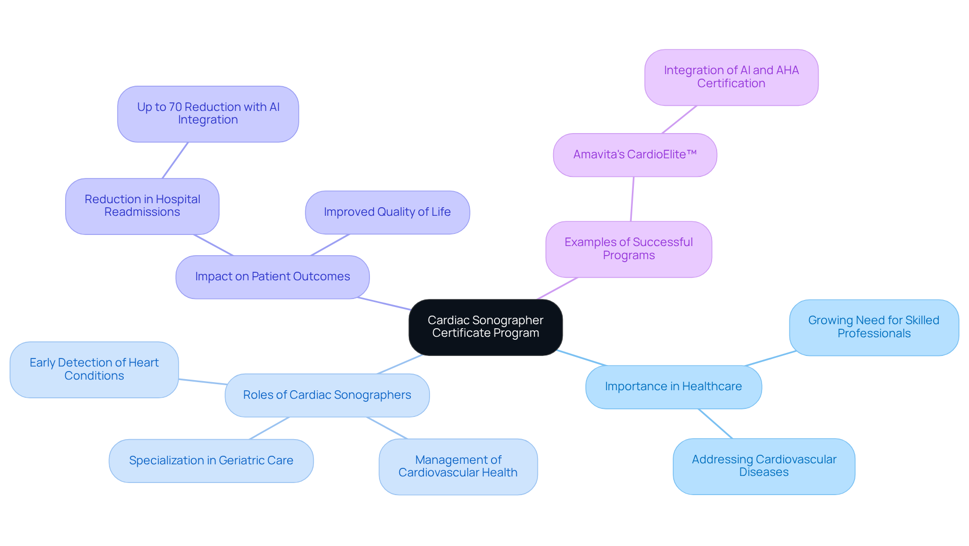 The central node represents the program, while the branches show its importance, roles, and impacts. Each color-coded branch helps you see how different aspects connect to the main idea.