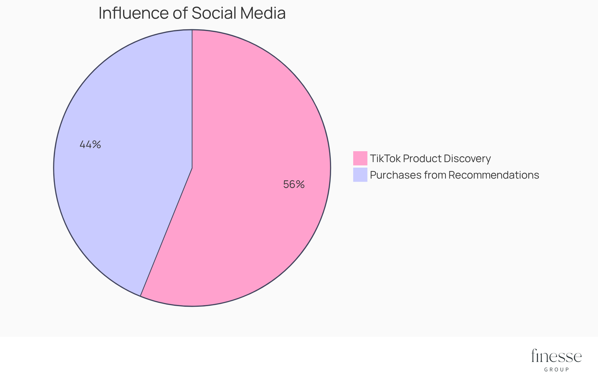 Each slice of the pie represents the percentage of consumers influenced by social media personalities: the blue slice shows those purchasing based on recommendations, while the green slice shows TikTok shoppers discovering products through influencers.