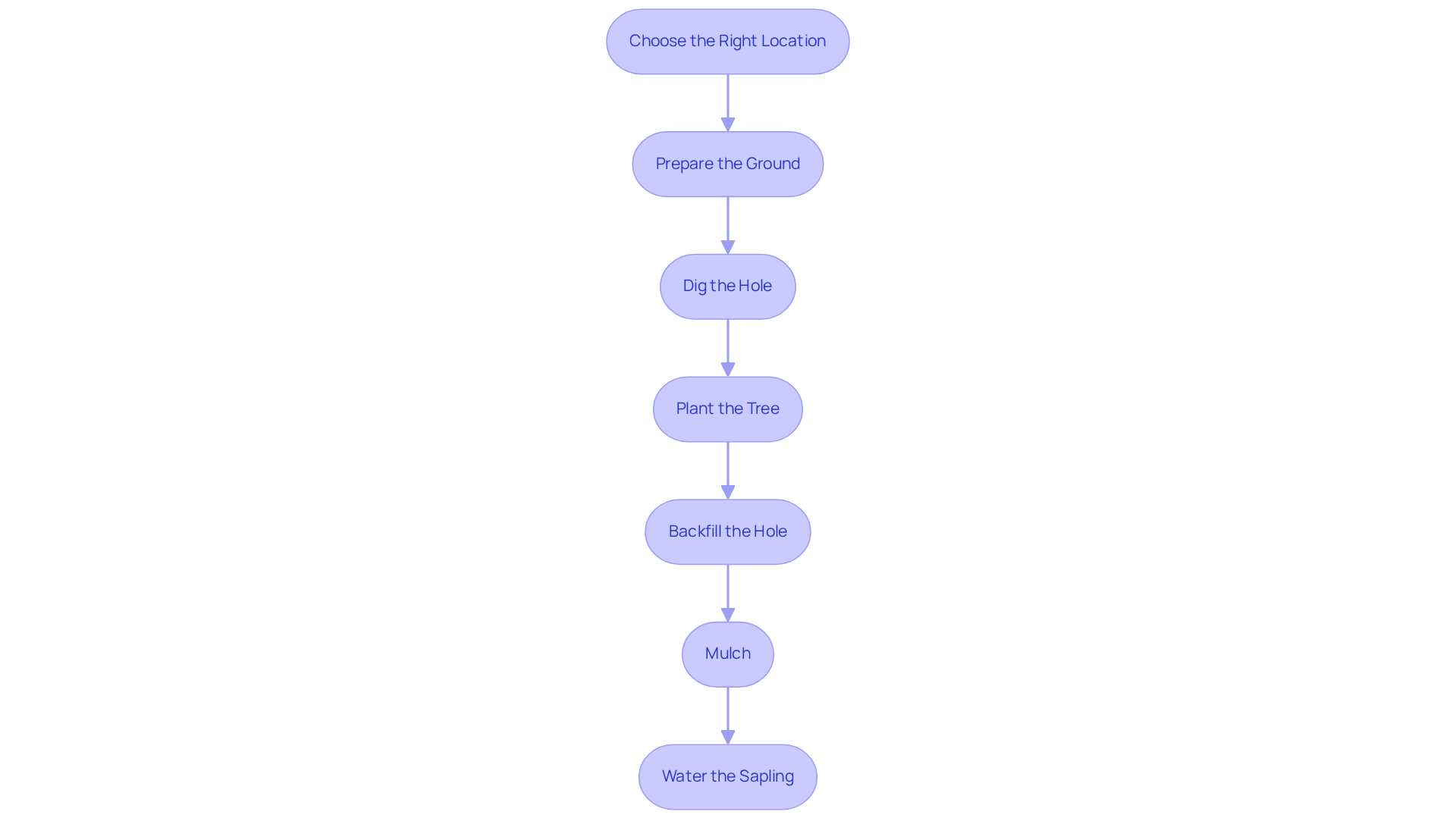 Each box represents a step in planting the tree. Follow the arrows to see what you need to do at each stage of the process.