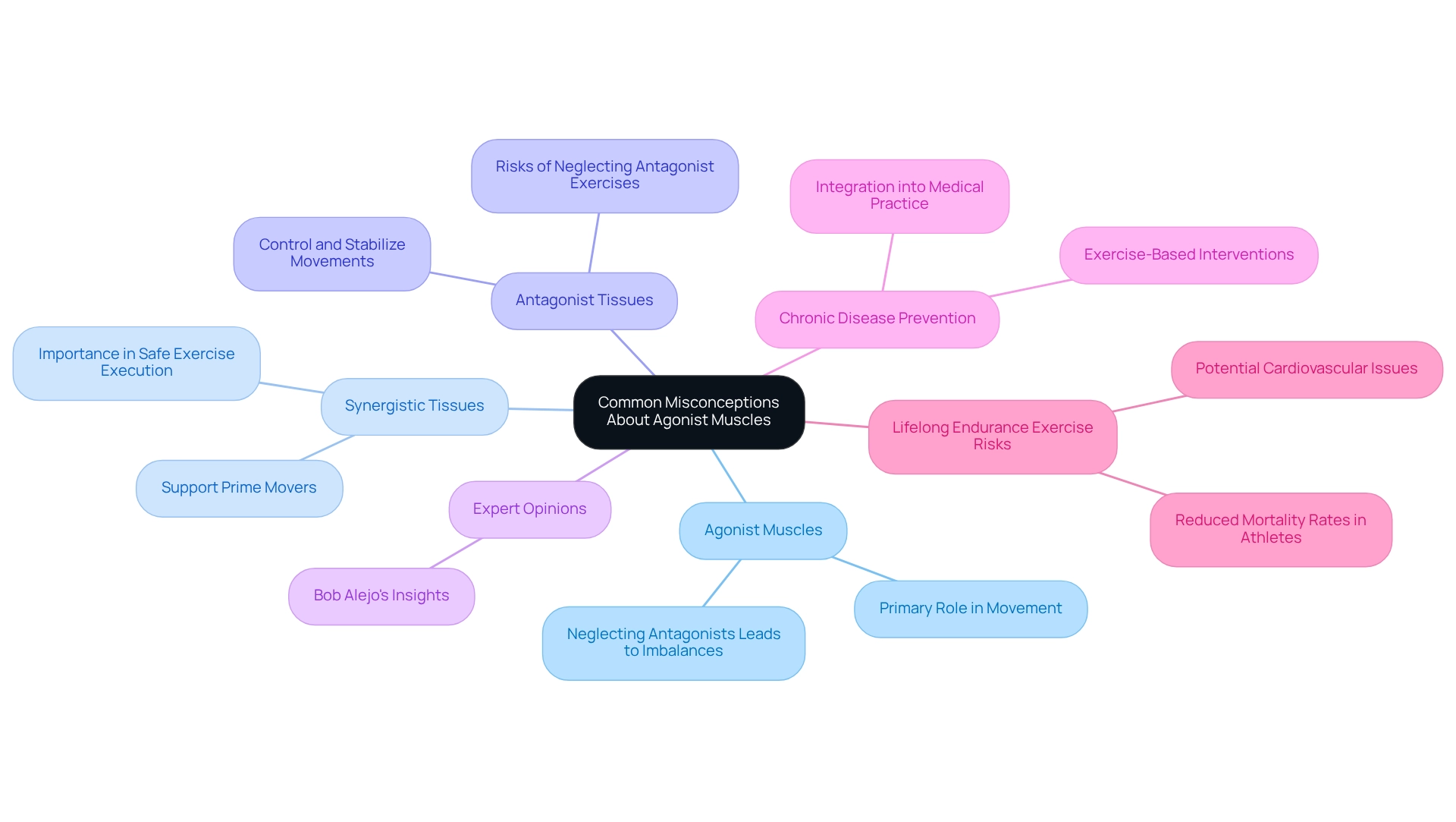 Each branch represents a type of muscle (agonist, synergist, antagonist) with sub-branches detailing their functions and misconceptions associated with them.