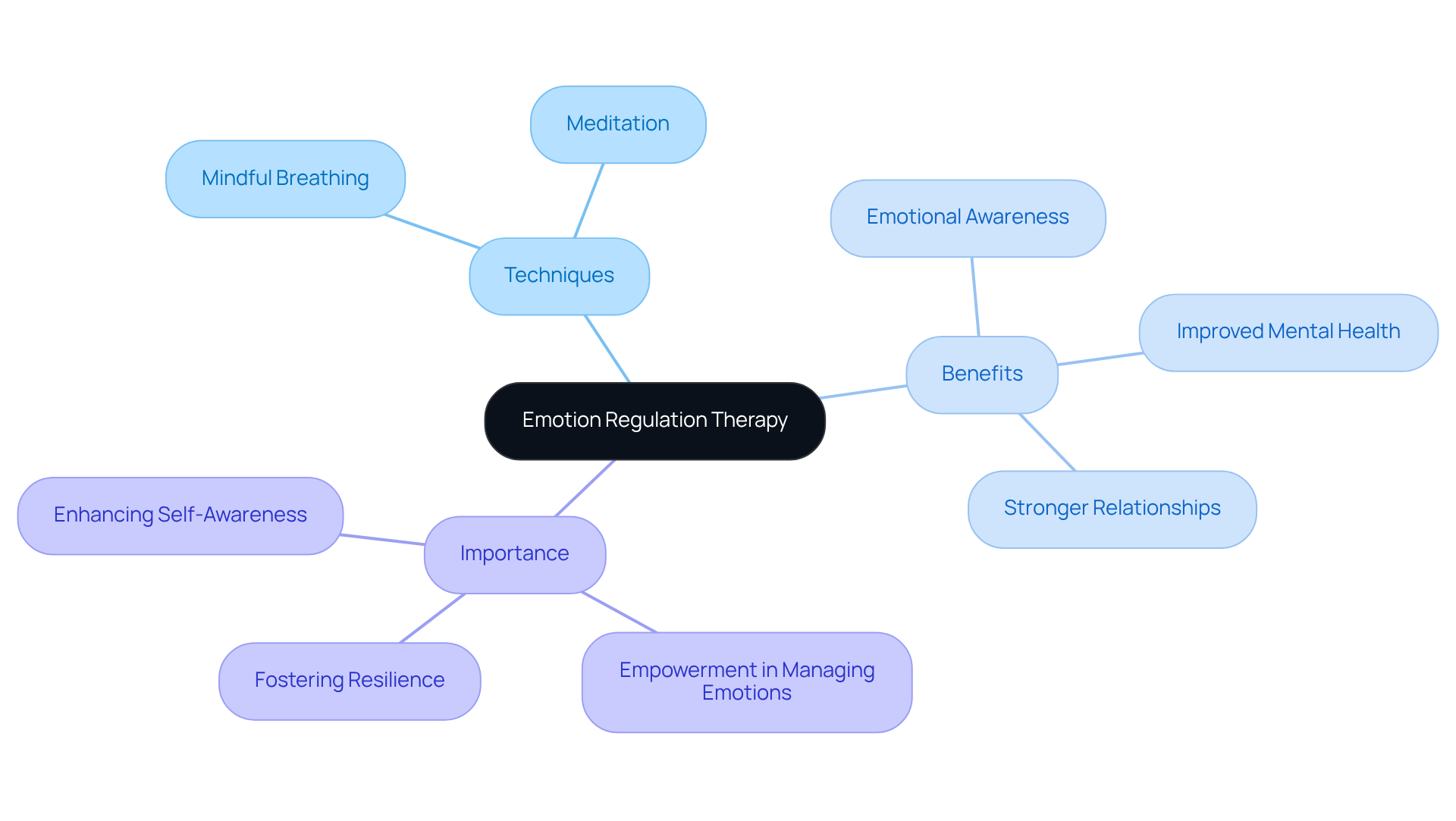 Start at the center with the main concept of emotion regulation therapy, then explore the branches to see the techniques used, the benefits gained, and why it's important for emotional well-being.