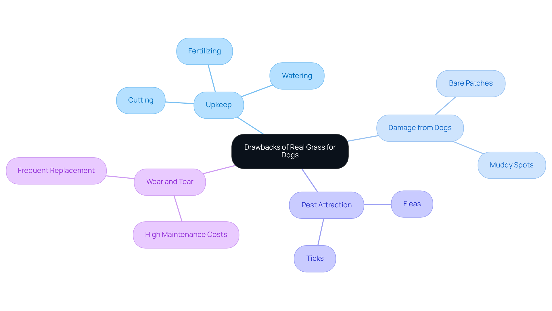 This mindmap shows the main drawbacks of using real grass for dogs. Each branch represents a specific concern, and the sub-branches provide more details about those issues. Follow the branches to see how each problem relates to the overall theme.