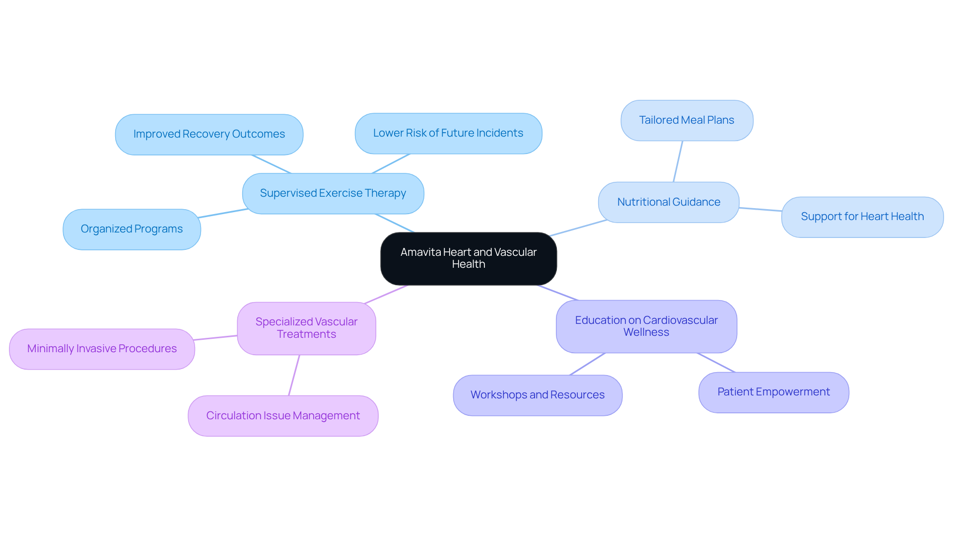 Start at the center with Amavita's focus on heart health, then explore each branch to see the specific services available. Each color represents a different area of support, showing how they all contribute to your recovery journey.