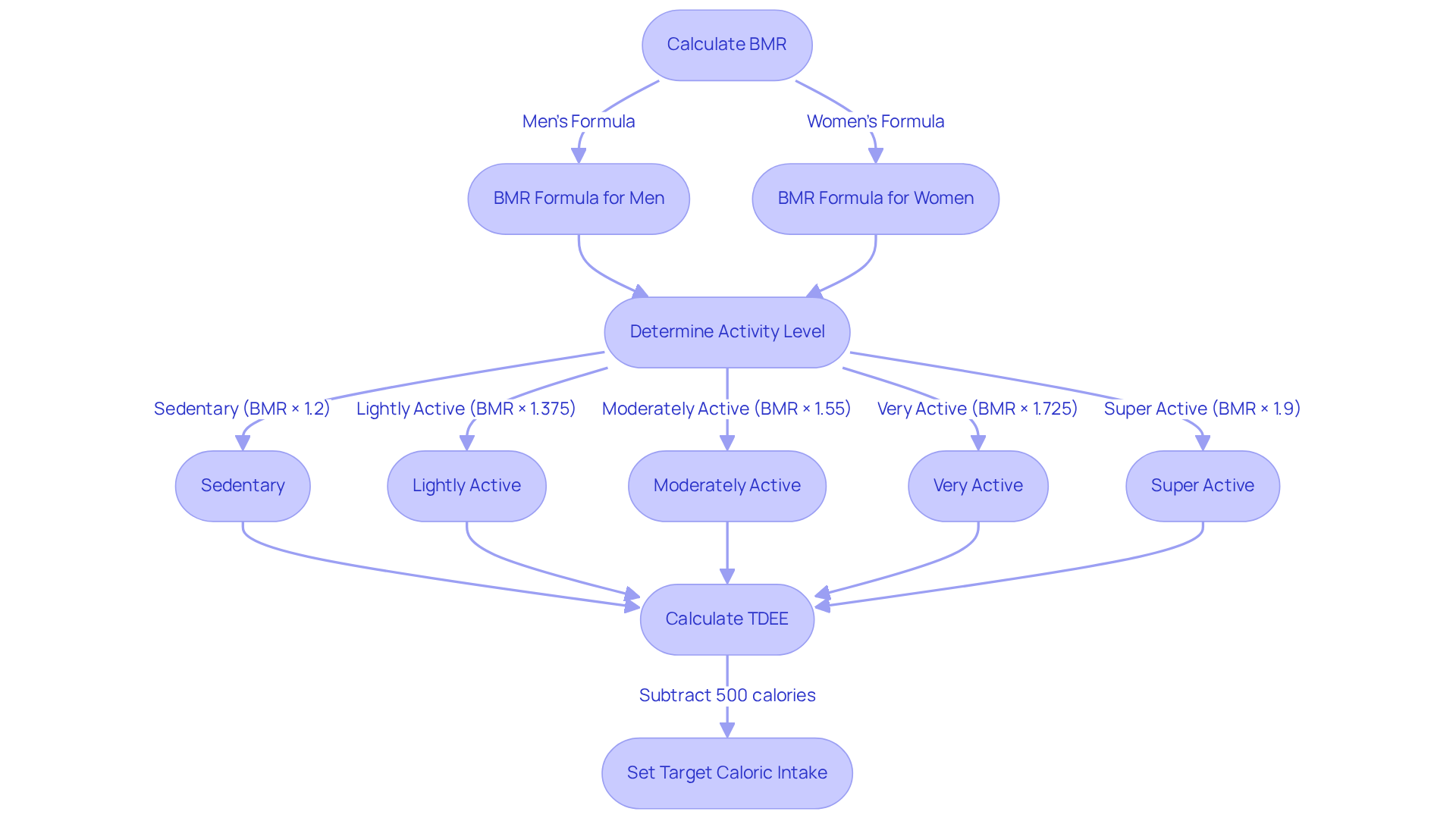 Follow the flow from calculating your BMR to determining your TDEE based on your activity level, and finally, see how to set your caloric intake for weight loss. Each step builds on the previous one, guiding you through the process.