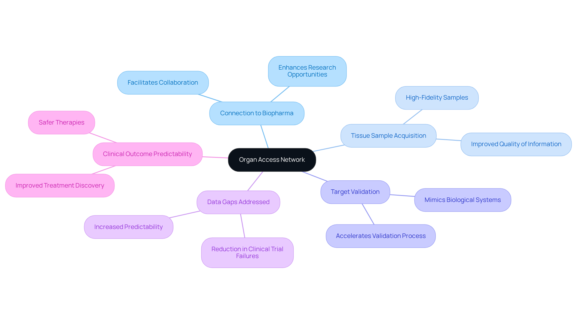 The central node represents the Organ Access Network, while the branches illustrate its various roles and benefits in drug development. Each branch shows how this network contributes to improving medication discovery and patient outcomes.