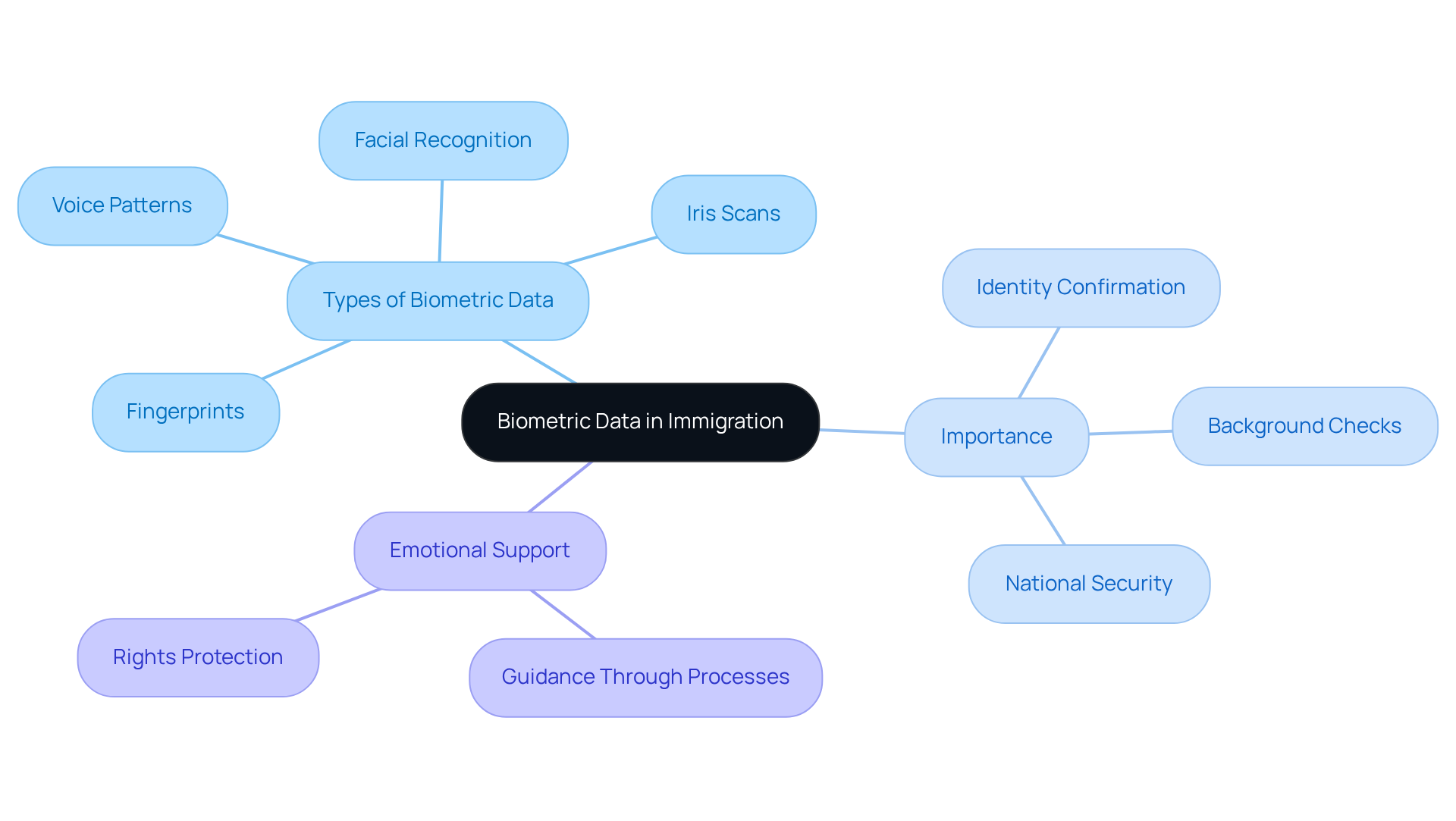 The central node represents biometric data, while the branches show different types and their significance in the immigration process. Each color-coded branch helps you navigate through the information easily.