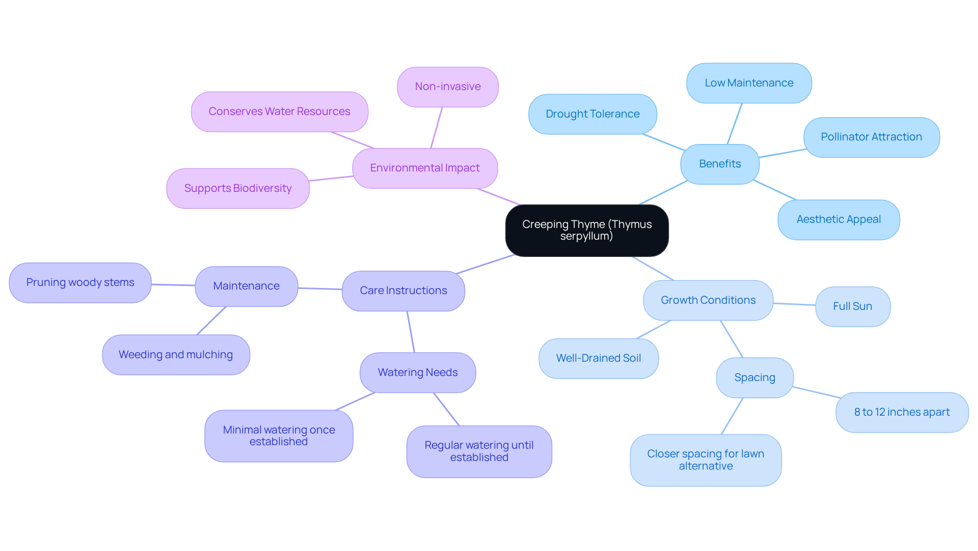 This mindmap starts with creeping thyme at the center, branching out to show its benefits, growth conditions, care instructions, and environmental impact. Each branch highlights important aspects of this plant, making it easy to understand how it fits into sustainable gardening.