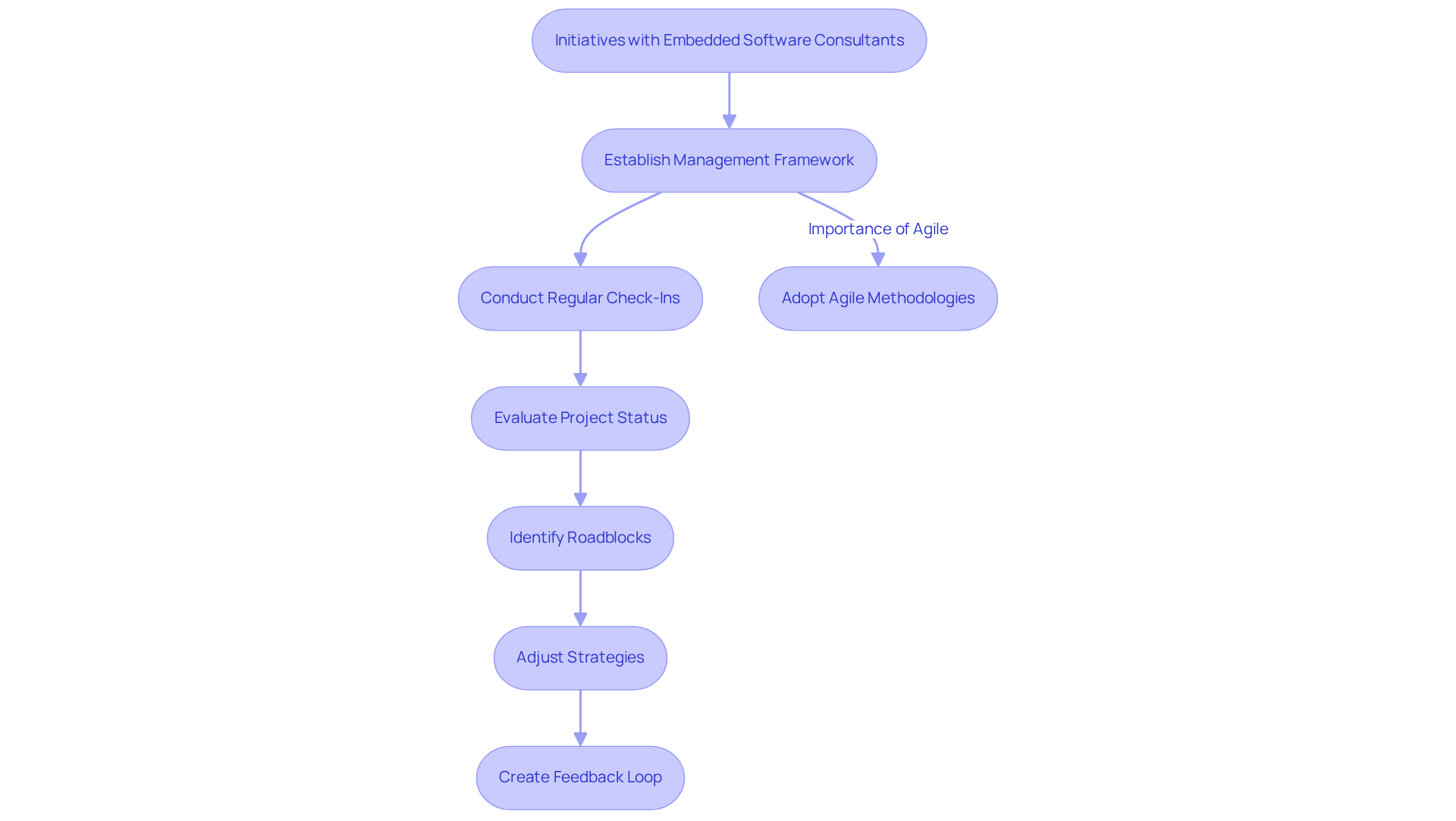 Follow the arrows to see how each step in the management process connects. Each box represents an action that contributes to the overall success of software consulting initiatives. Follow the arrows to see how each step in the management process connects. Each box represents an action that contributes to the overall success of software consulting initiatives.