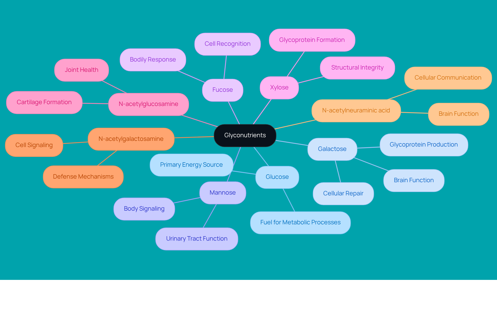 The central node represents glyconutrients, while each branch shows a specific sugar and its role in the body. The sub-branches provide additional details about how each sugar contributes to our health.
