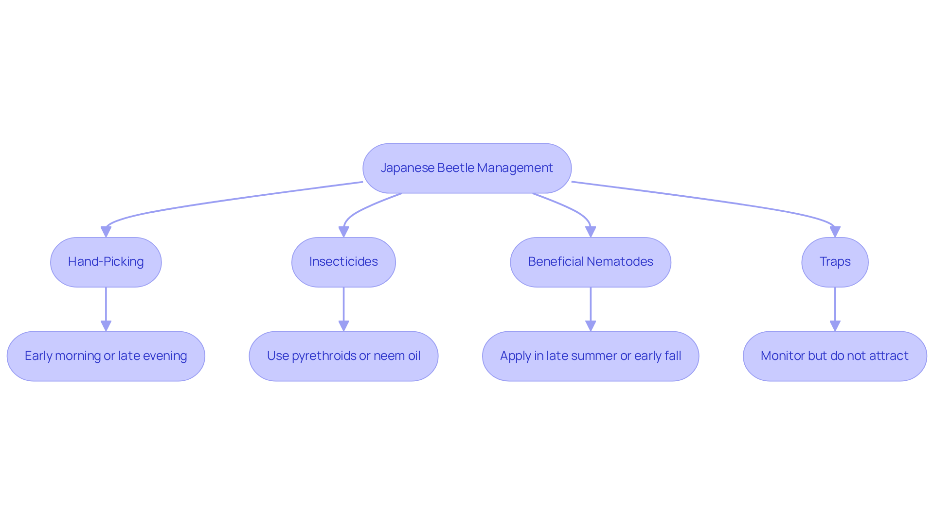 Follow the arrows to see the recommended steps for managing Japanese beetles. Each box represents a treatment method, and the sub-steps provide additional details on how to implement each strategy.