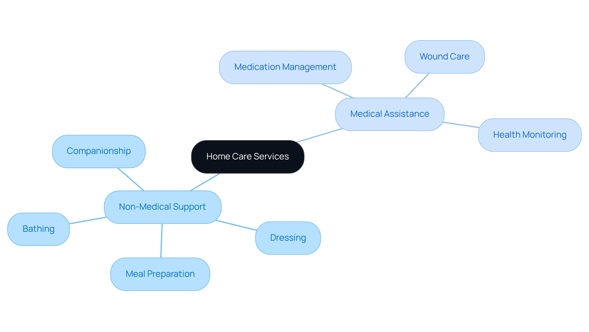 The center shows the overall topic of home care services. The branches represent the two main categories of care, and the sub-branches detail the specific types of support available under each category.