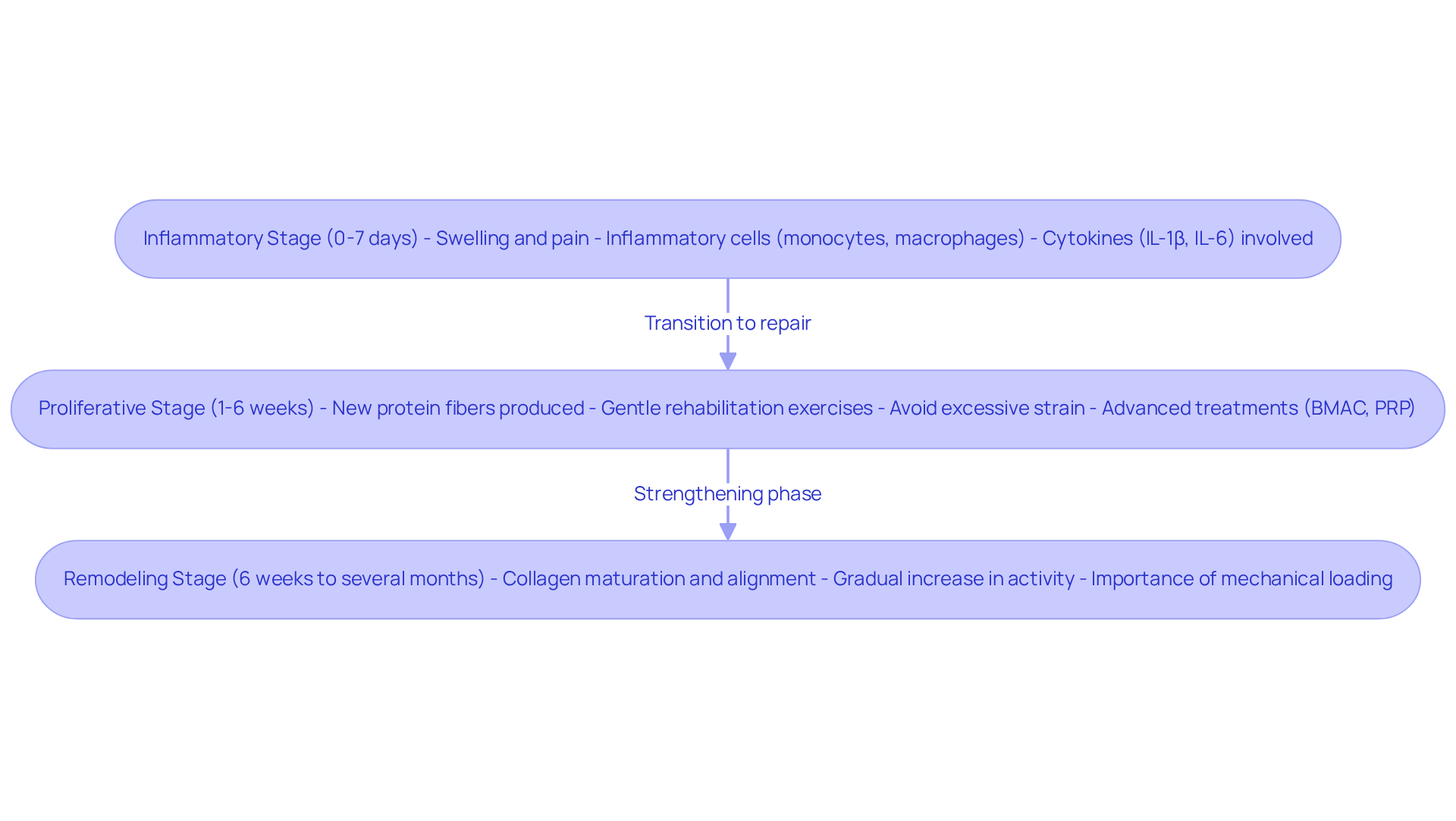 This flowchart outlines the healing journey of a tendon. Each box represents a stage: the Inflammatory Stage is where the injury occurs, the Proliferative Stage is when the body starts to repair, and the Remodeling Stage is where the tendon strengthens. Follow the arrows to see how each stage leads to the next, and remember that healing takes time and patience!