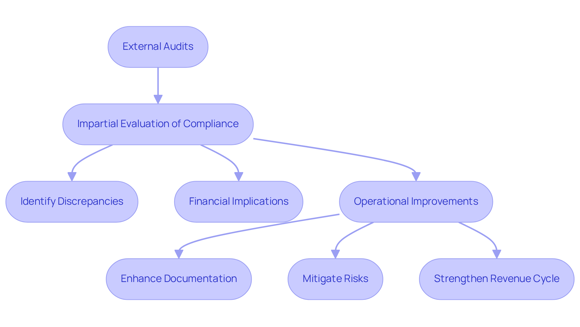 This flowchart shows how external audits lead to evaluations, which identify issues and prompt actions to improve healthcare practices. Follow the arrows to see how each step connects to the next.