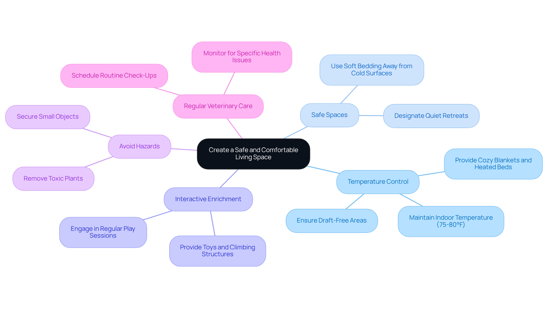Begin at the center with the main theme, then explore each branch to discover specific tips that will help create a nurturing environment for your hairless cat.