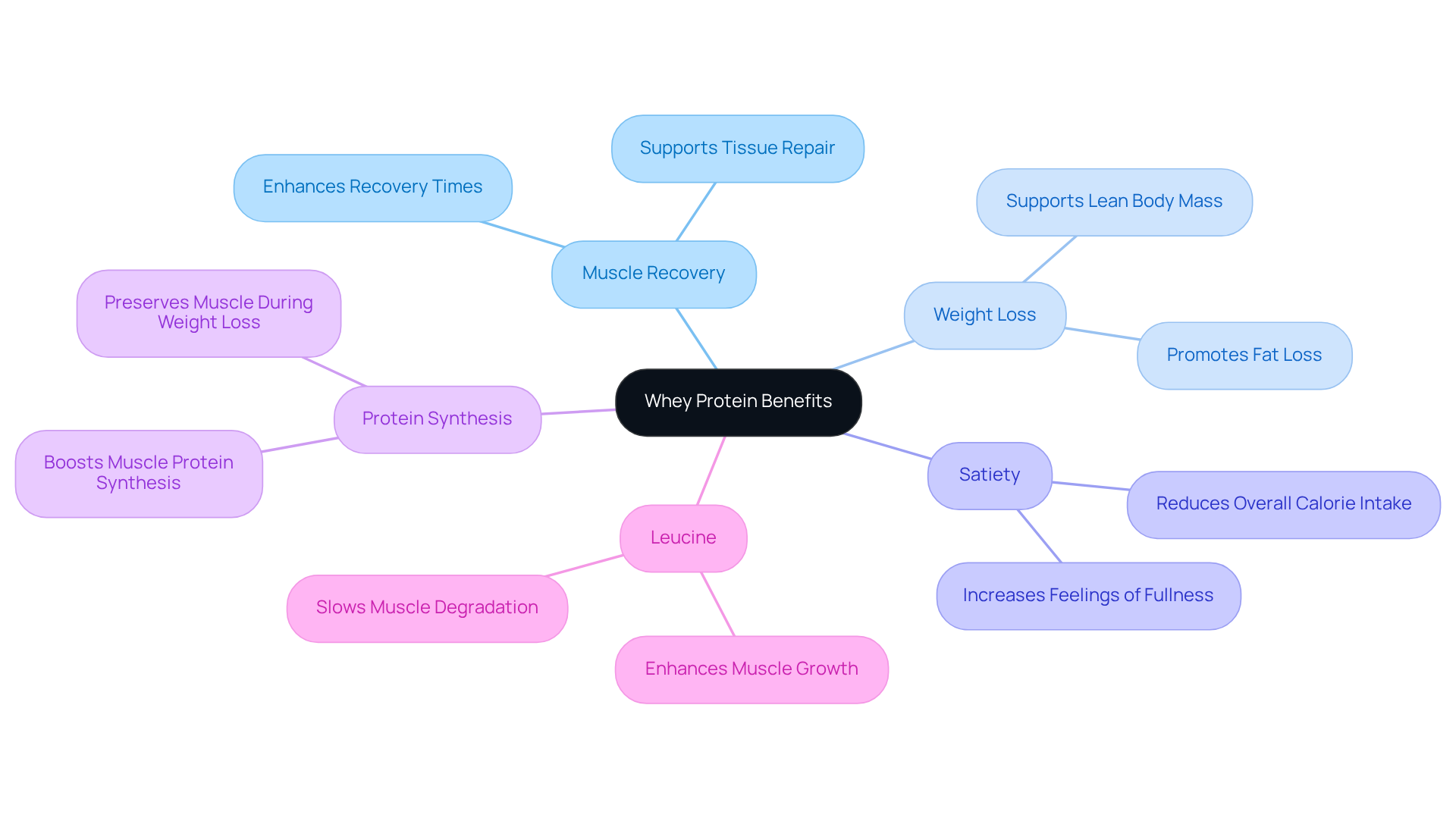 The central node represents whey protein, and the branches show its various benefits. Each branch highlights a key area of impact, making it easy to understand how whey protein supports fitness goals.