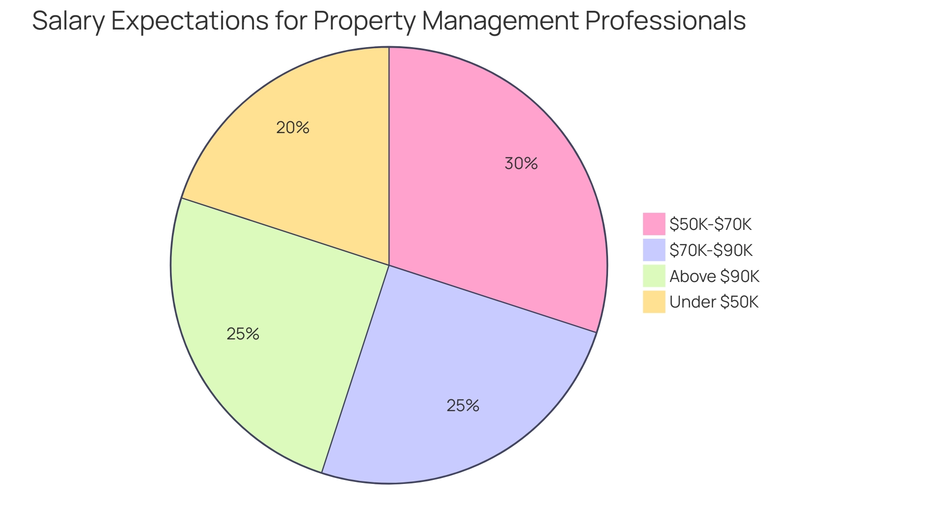 Each segment represents a salary range, with its size corresponding to the percentage of professionals earning within that range.