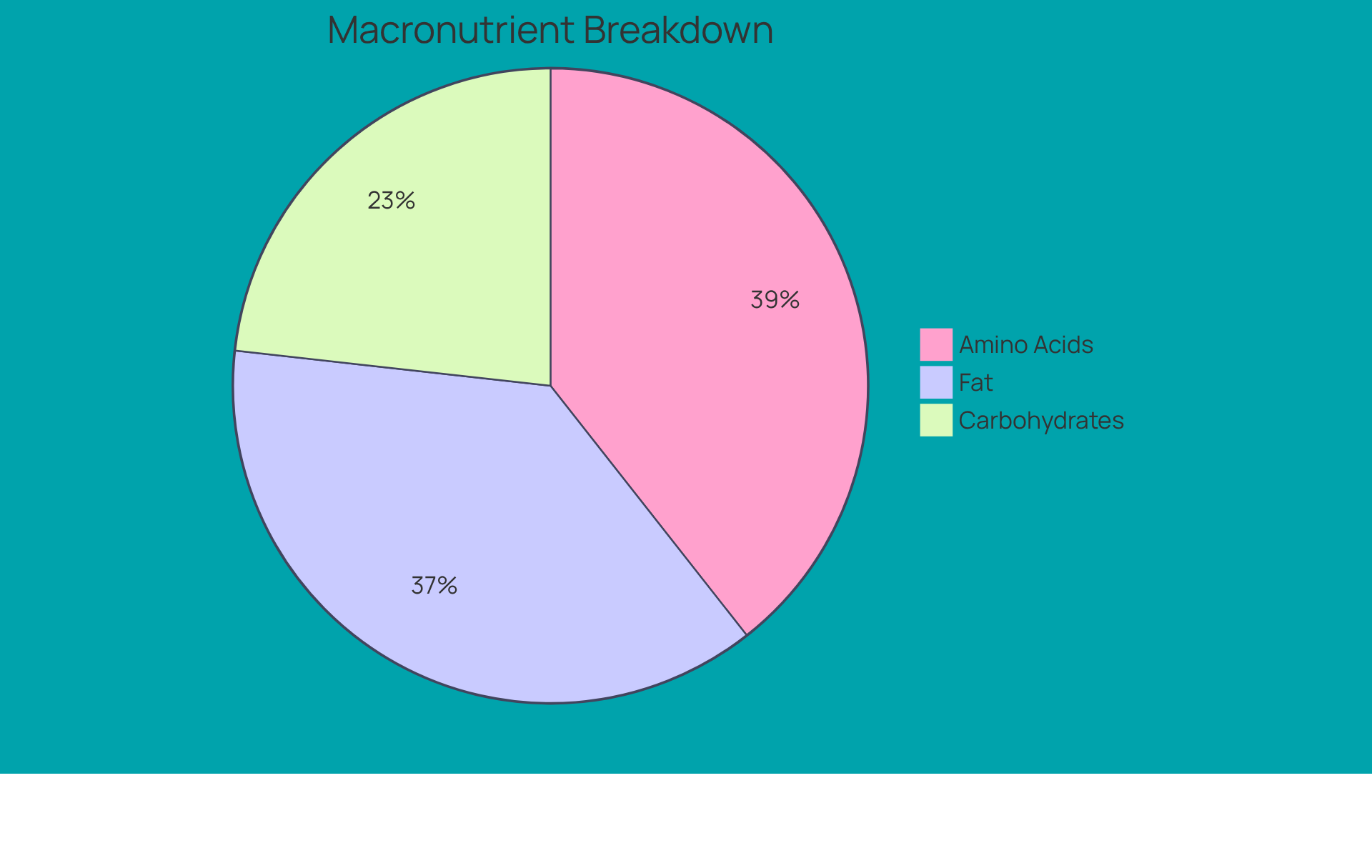 Each slice of the pie shows how much of the shake is made up of fat, carbohydrates, and amino acids. The bigger the slice, the more of that nutrient is in the shake! Each slice of the pie shows how much of the shake is made up of fat, carbohydrates, and amino acids. The bigger the slice, the more of that nutrient is in the shake!