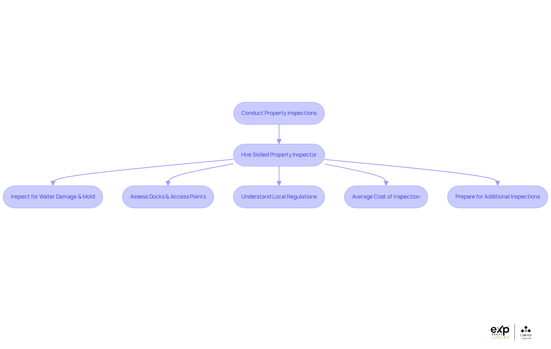 Follow the arrows to see the steps involved in inspecting waterfront homes. Each box represents a crucial action to take, ensuring you cover all important aspects before making a purchase.