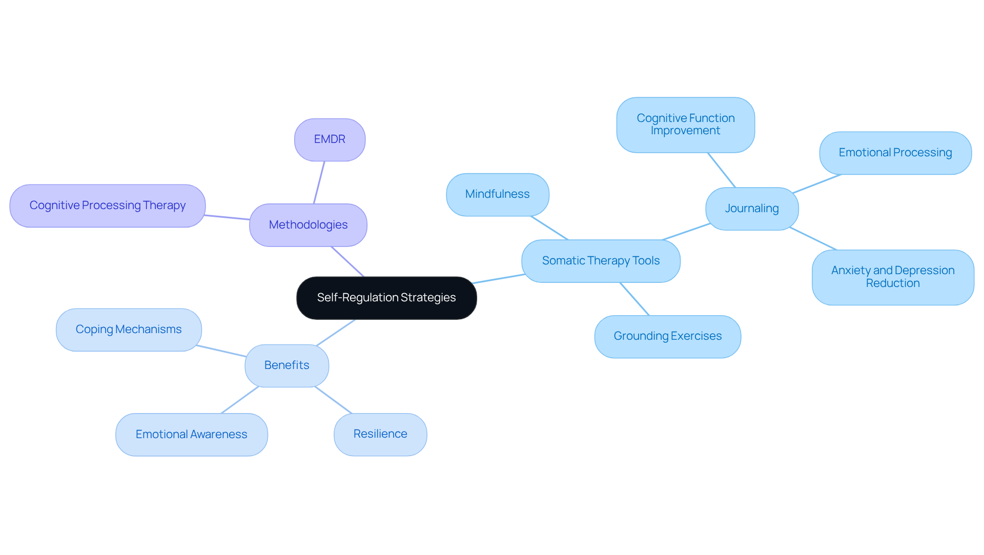 The central node represents the main theme of self-regulation strategies. Each branch shows different tools and methodologies that can help you manage your emotions and enhance your healing journey. The sub-branches detail specific techniques and their benefits, illustrating how they contribute to your overall well-being.